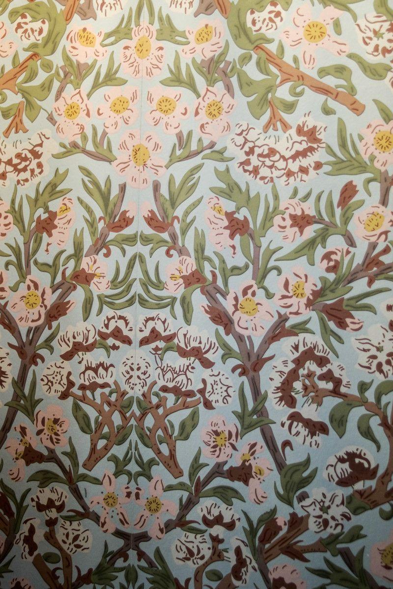 Reproduction Wallpapers - Top Free Reproduction Backgrounds ...