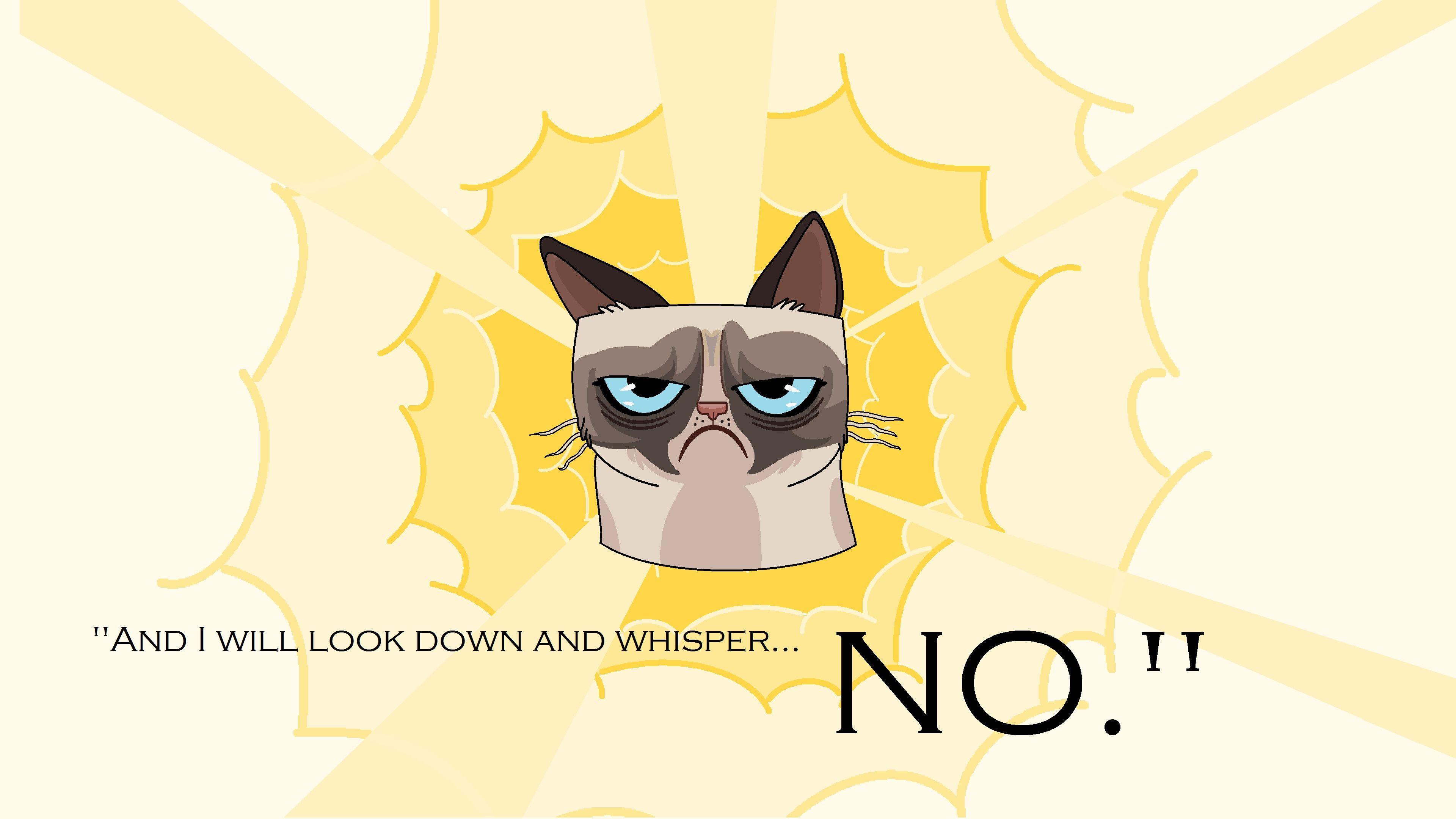 Nope Grumpy Cat Wallpapers - Top Free Nope Grumpy Cat Backgrounds ...