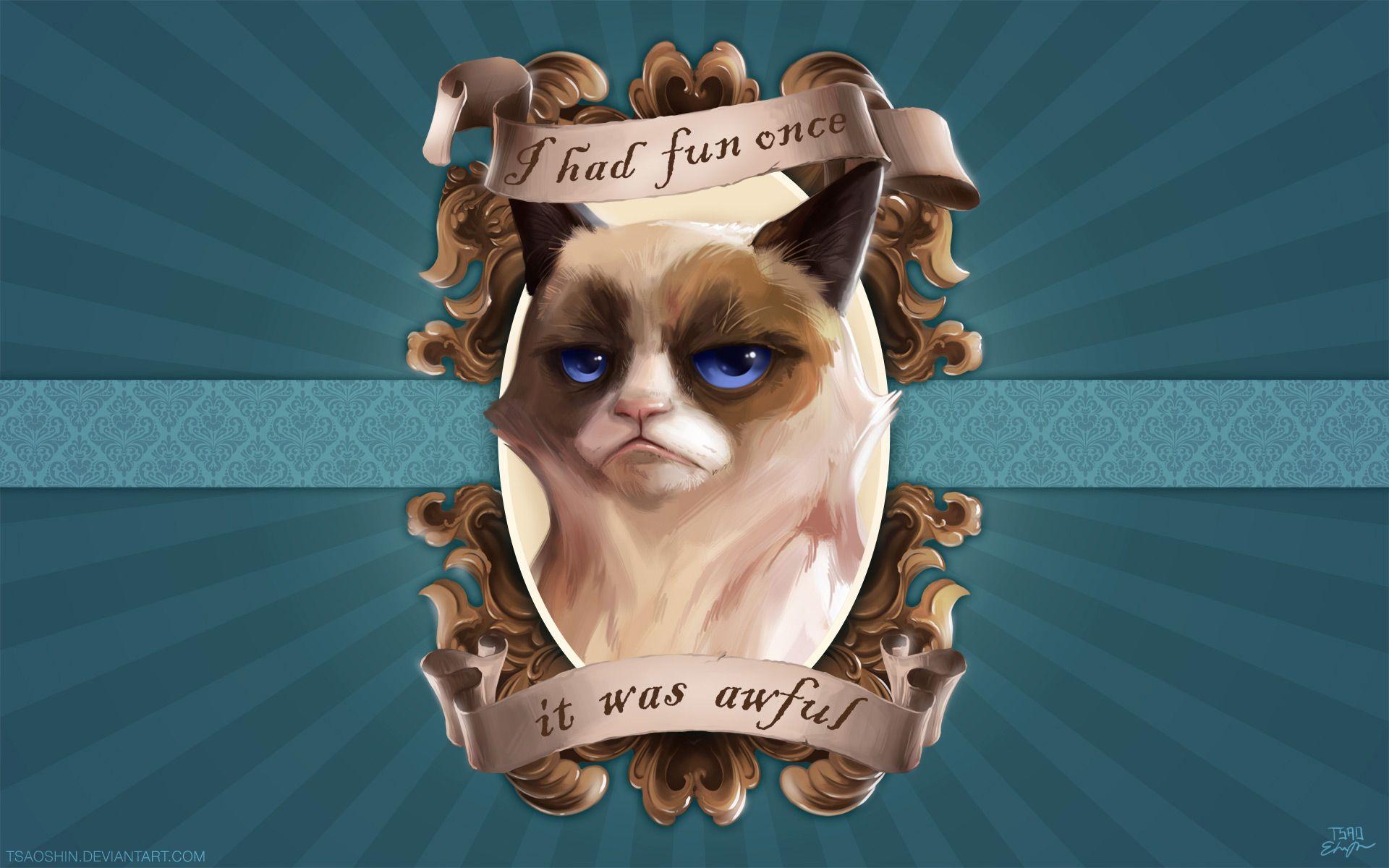 Nope Grumpy Cat Wallpapers - Top Free Nope Grumpy Cat Backgrounds - WallpaperAccess