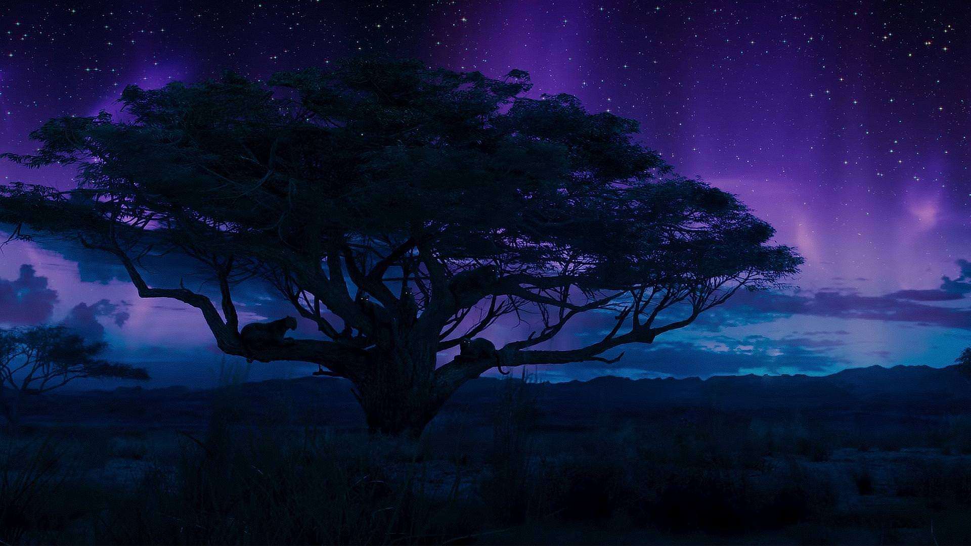 Black Panther Landscape Wallpapers - Top Free Black Panther Landscape ...