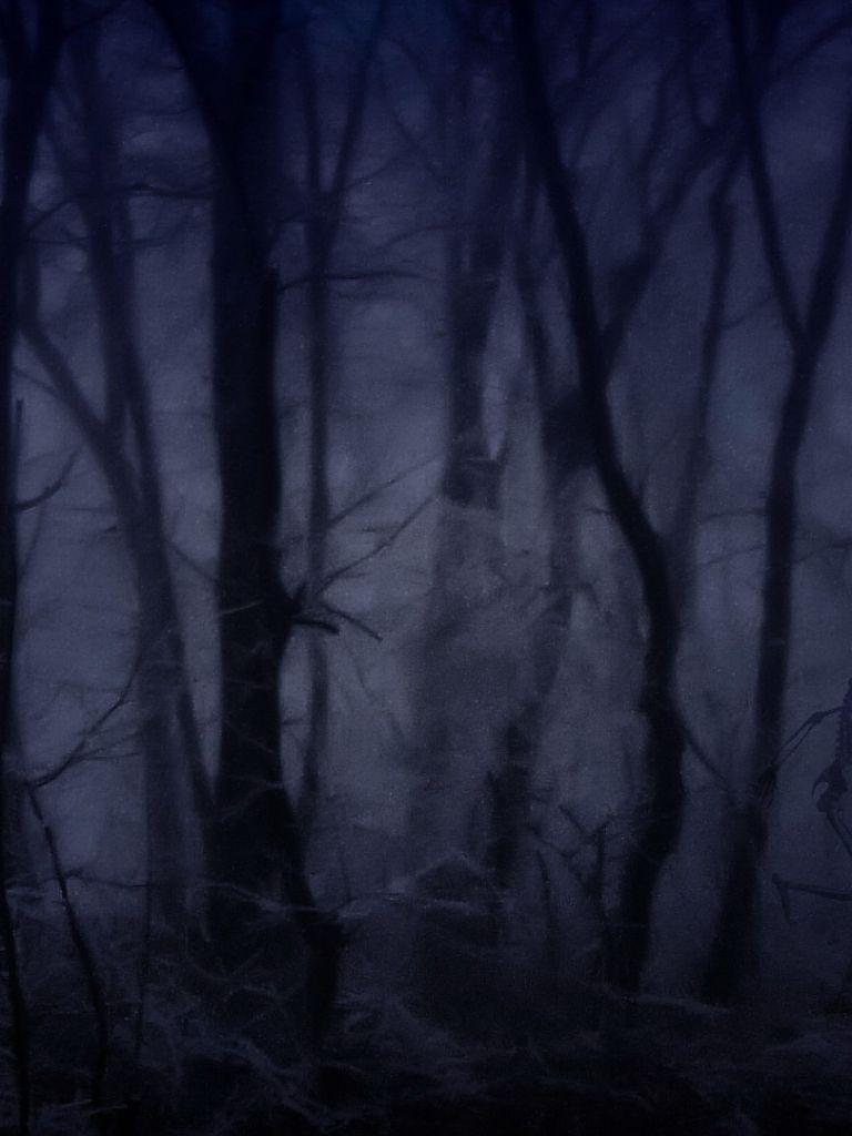 Creepy Fog Wallpapers - Top Free Creepy Fog Backgrounds - WallpaperAccess