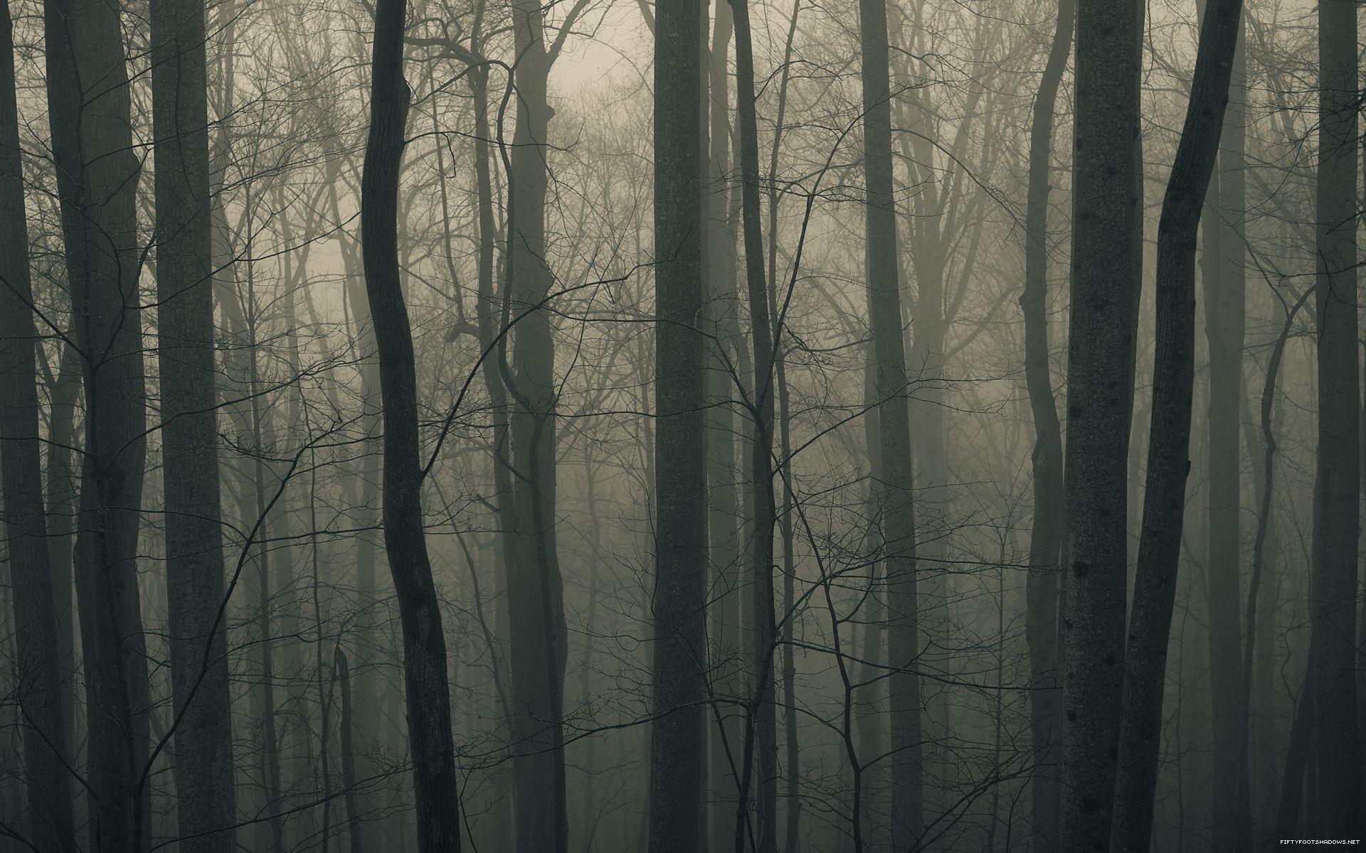 Creepy Fog Wallpapers - Top Free Creepy Fog Backgrounds - WallpaperAccess