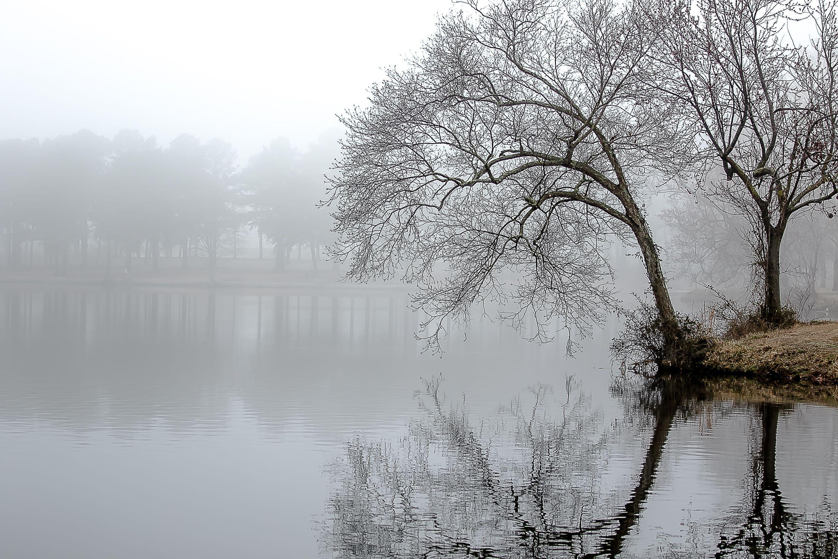 Early Morning Fog Wallpapers - Top Free Early Morning Fog Backgrounds ...