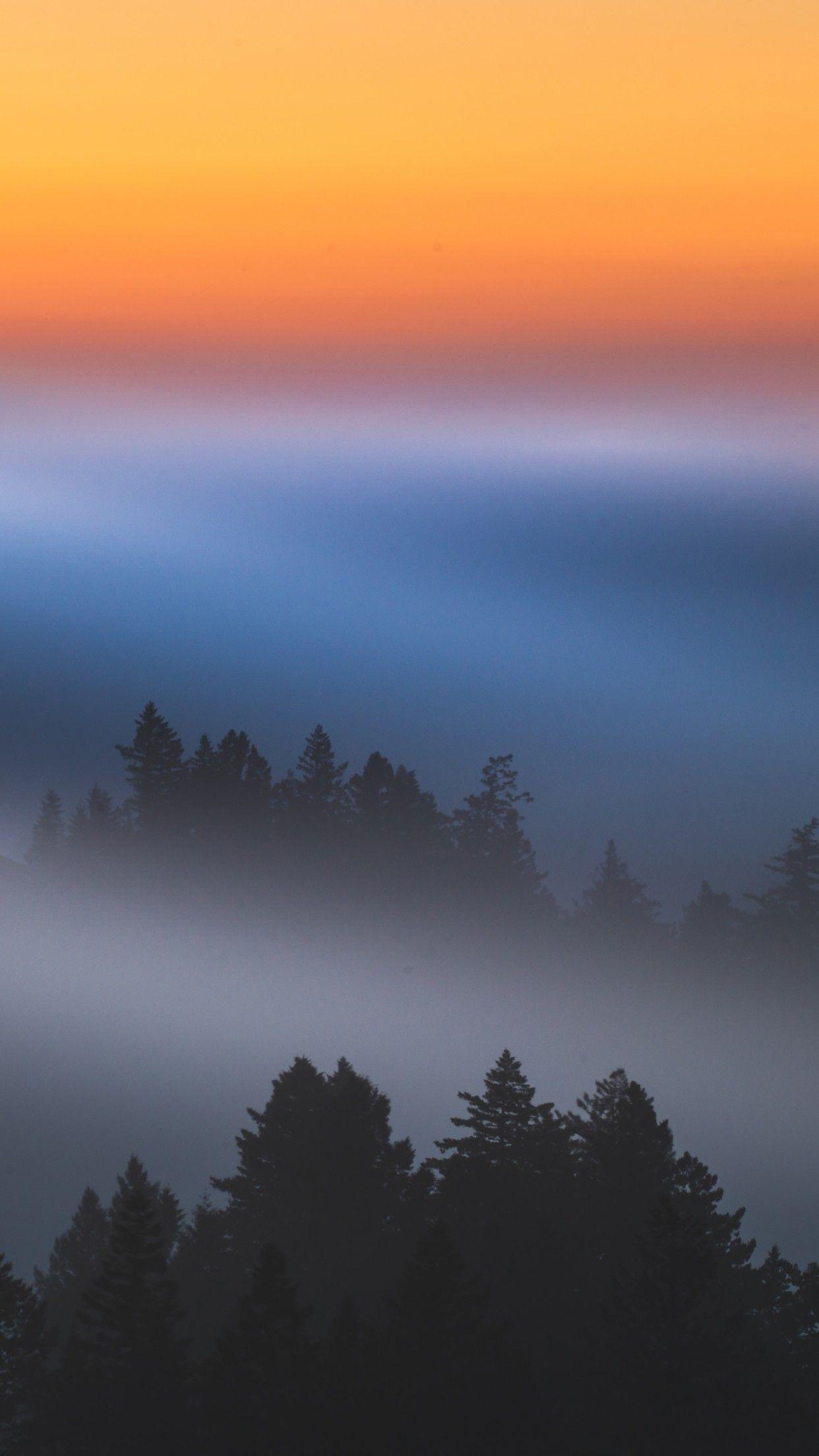 Early Morning Fog Wallpapers - Top Free Early Morning Fog Backgrounds ...