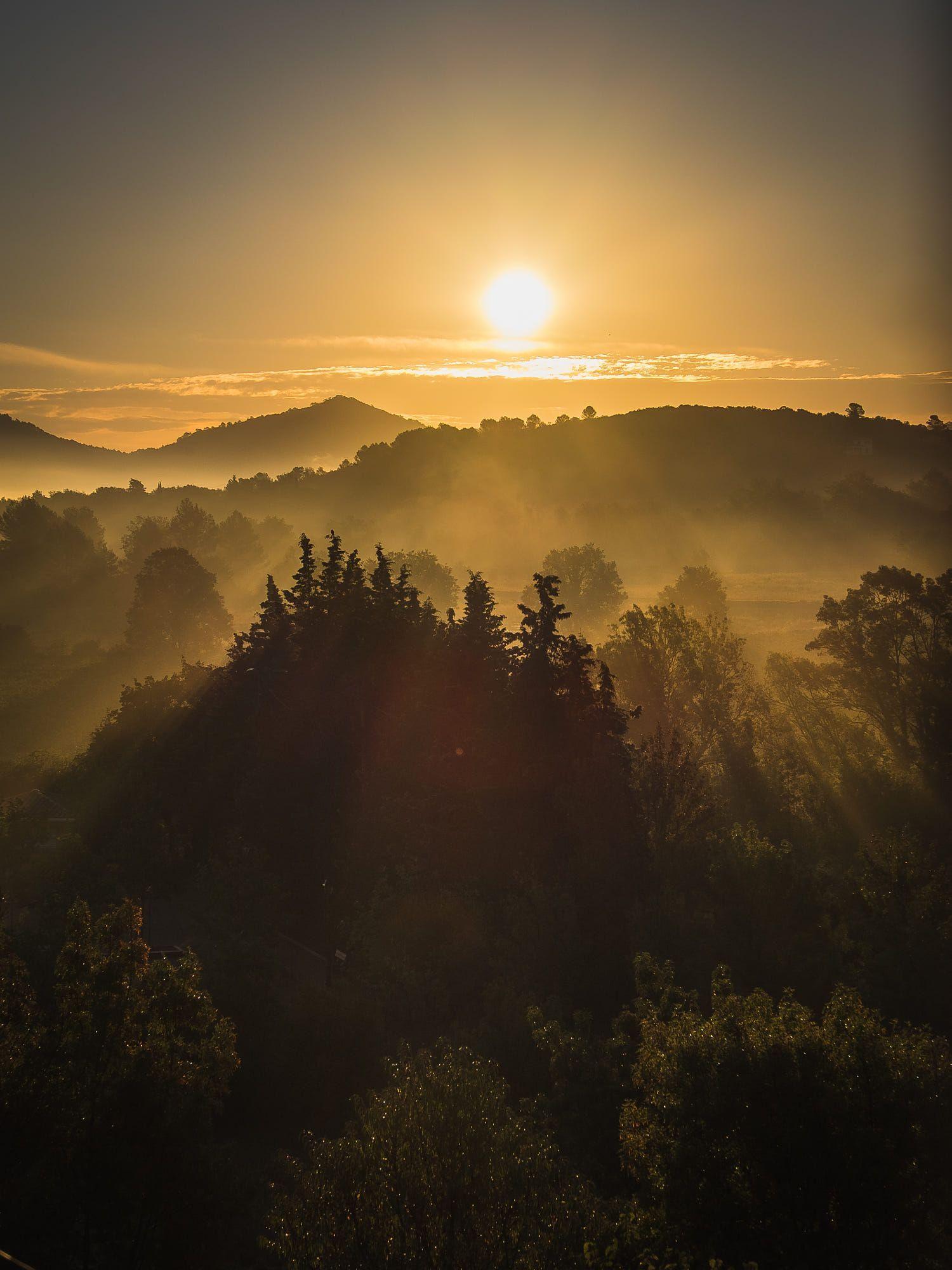 Early Morning Fog Wallpapers - Top Free Early Morning Fog Backgrounds ...