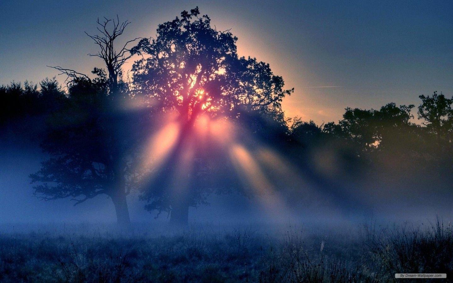 Early Morning Fog Wallpapers - Top Free Early Morning Fog Backgrounds ...