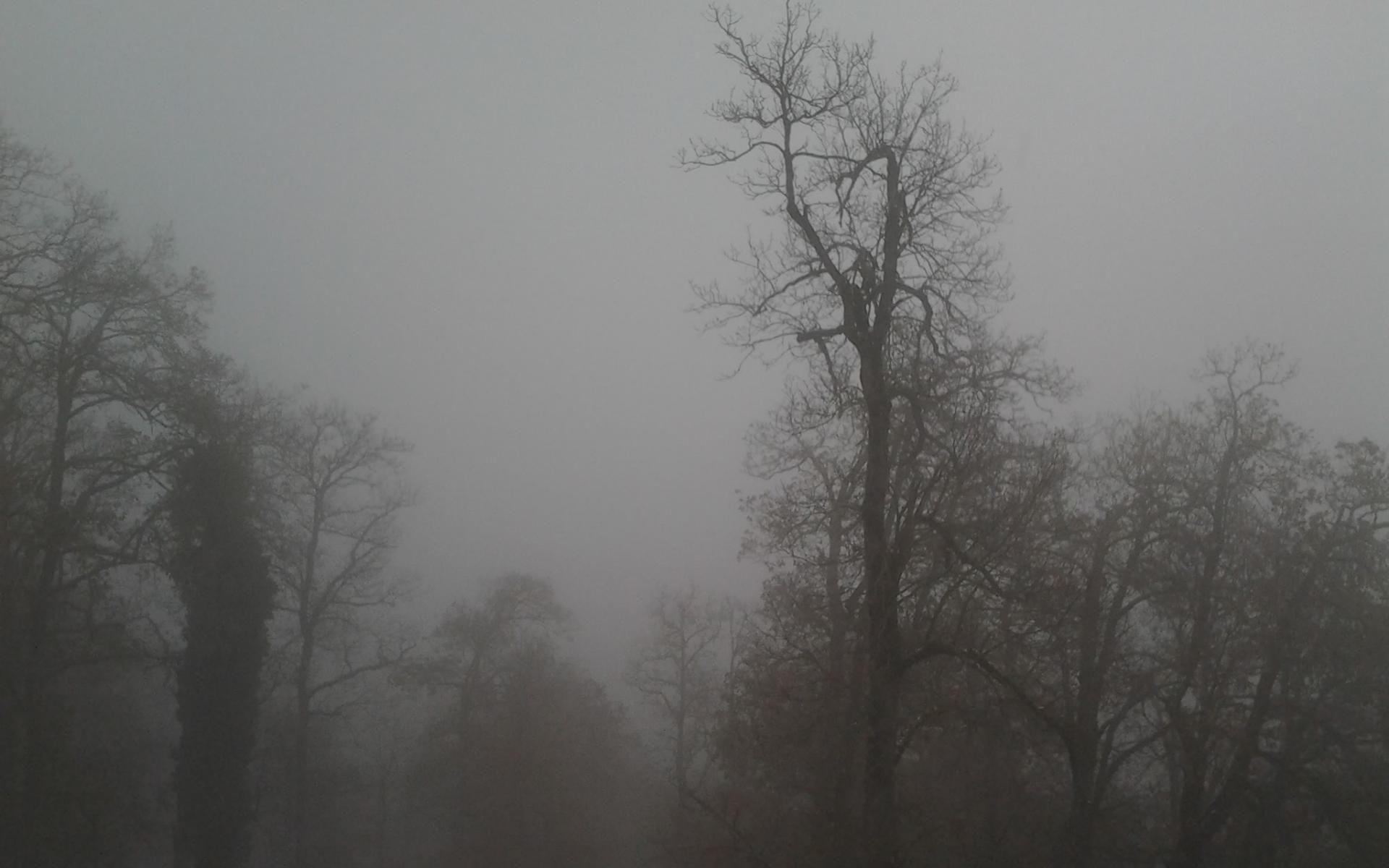 Creepy Fog Wallpapers - Top Free Creepy Fog Backgrounds - WallpaperAccess