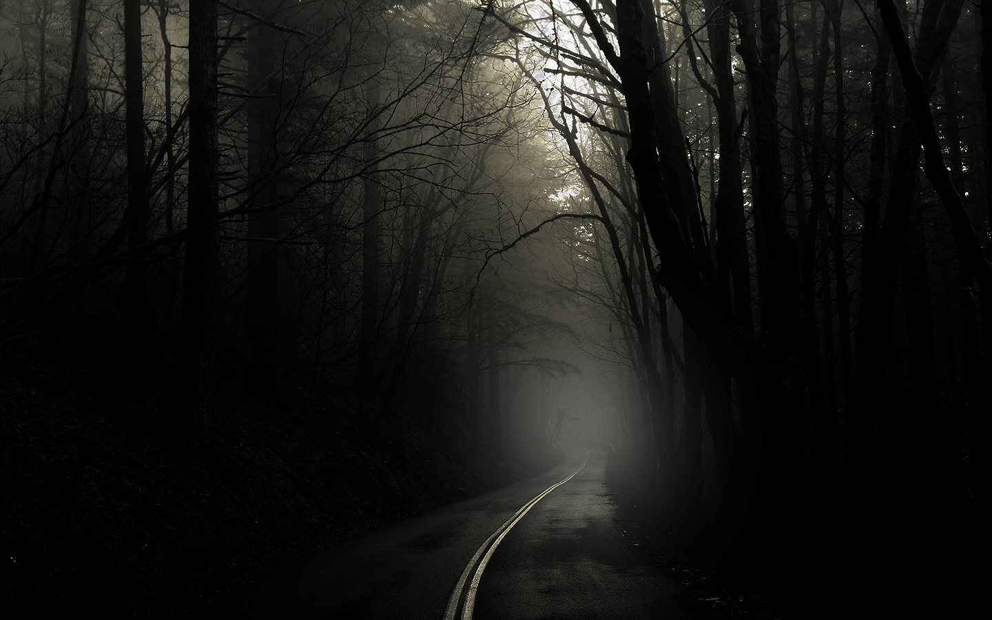 Creepy Fog Wallpapers - Top Free Creepy Fog Backgrounds - WallpaperAccess