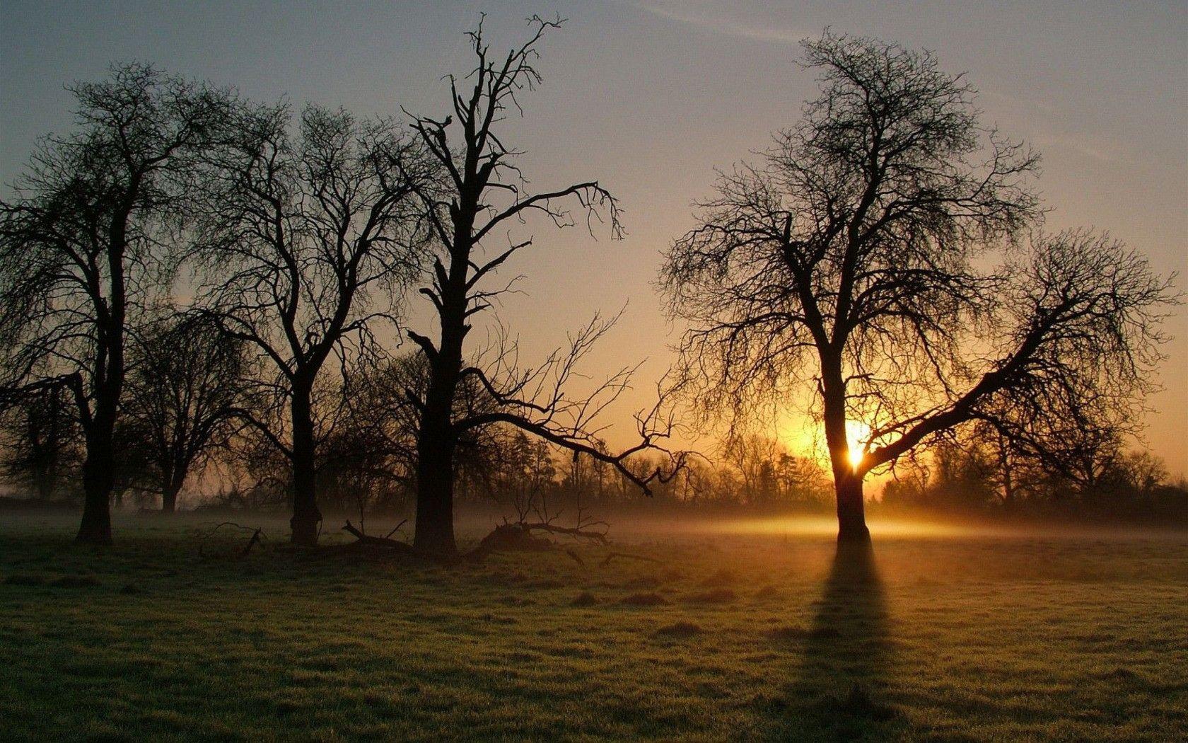 Early Morning Fog Wallpapers - Top Free Early Morning Fog Backgrounds ...