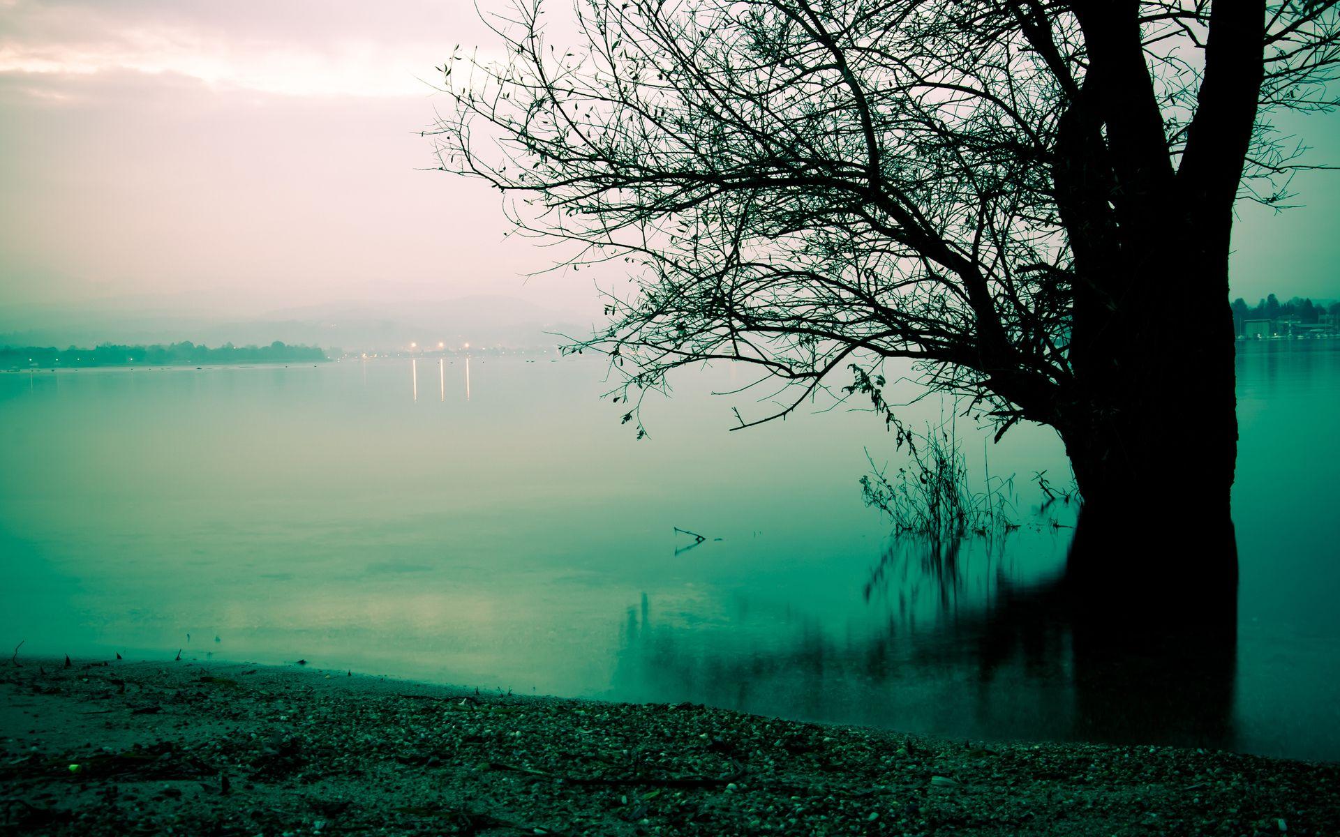 Early Morning Fog Wallpapers - Top Free Early Morning Fog Backgrounds ...