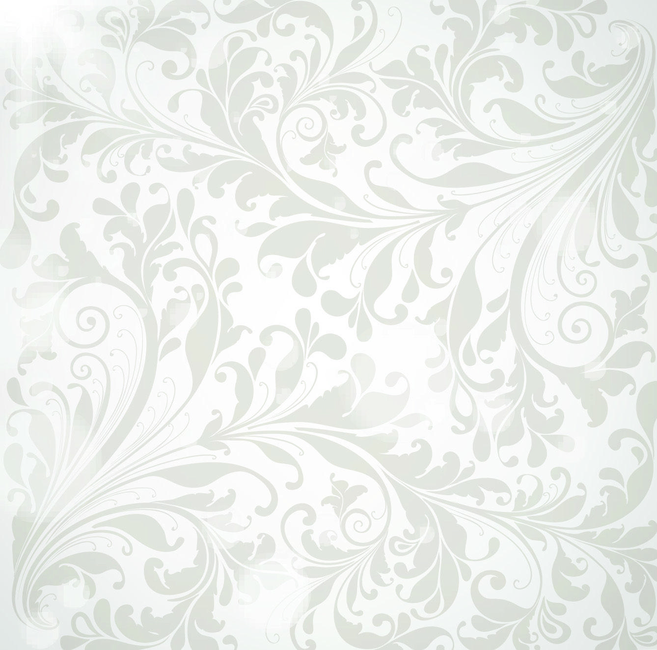 White Floral Wallpapers - Top Free White Floral Backgrounds ...