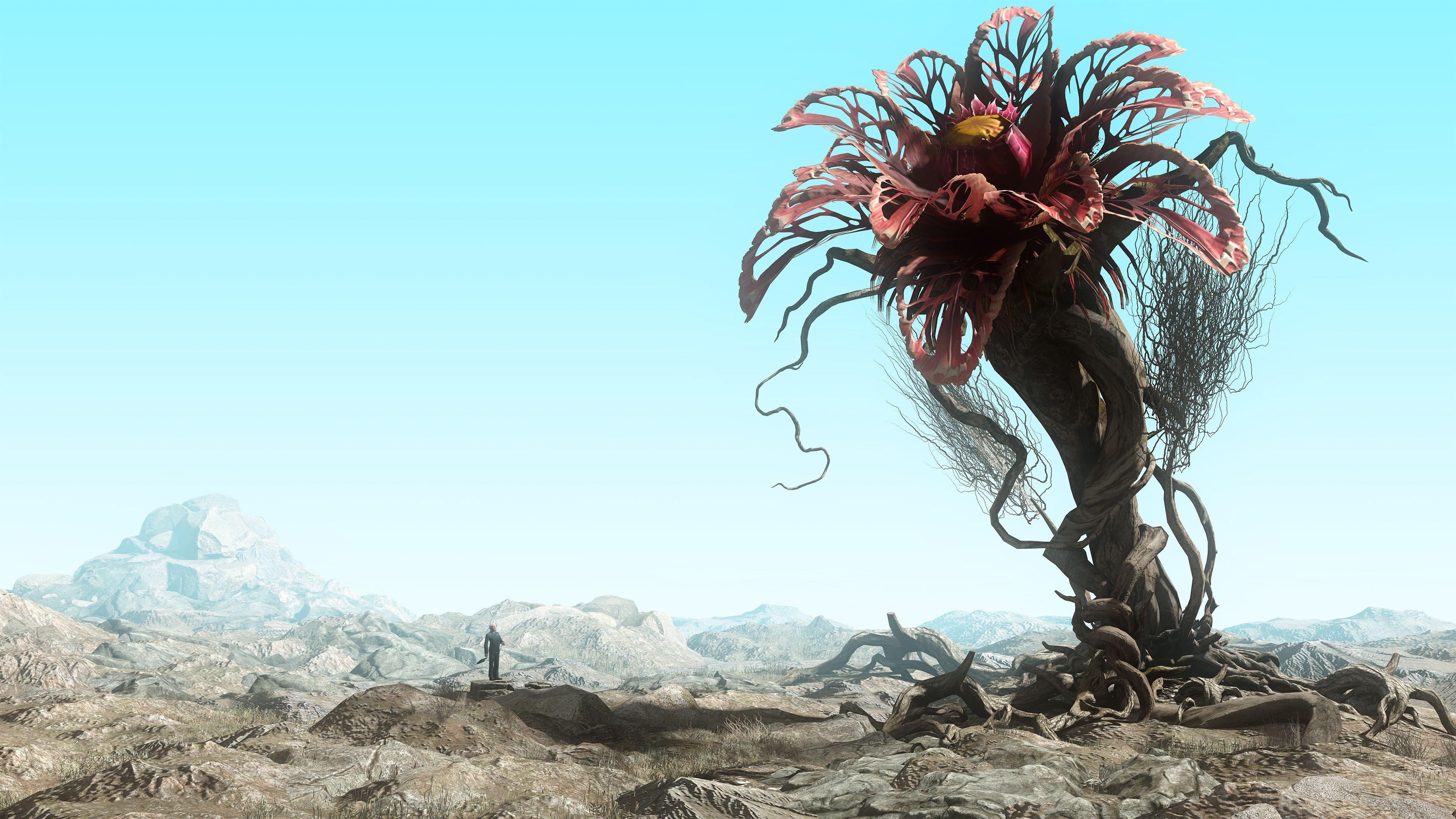 Visually Stunning Wallpapers - Top Free Visually Stunning Backgrounds ...