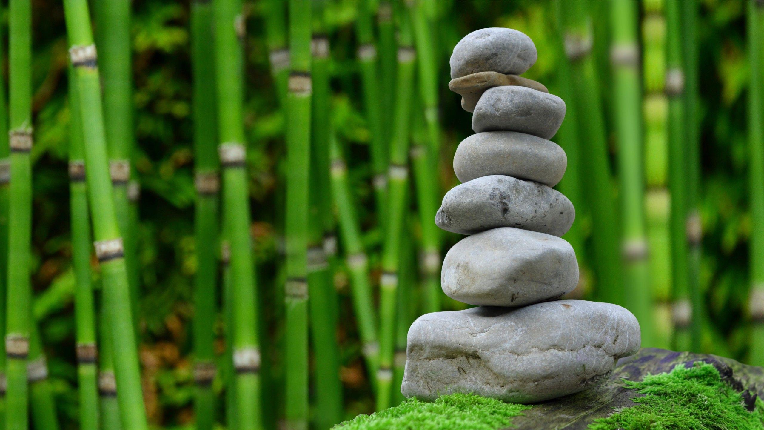 Bamboo 4K Wallpapers - Top Free Bamboo 4K Backgrounds - WallpaperAccess