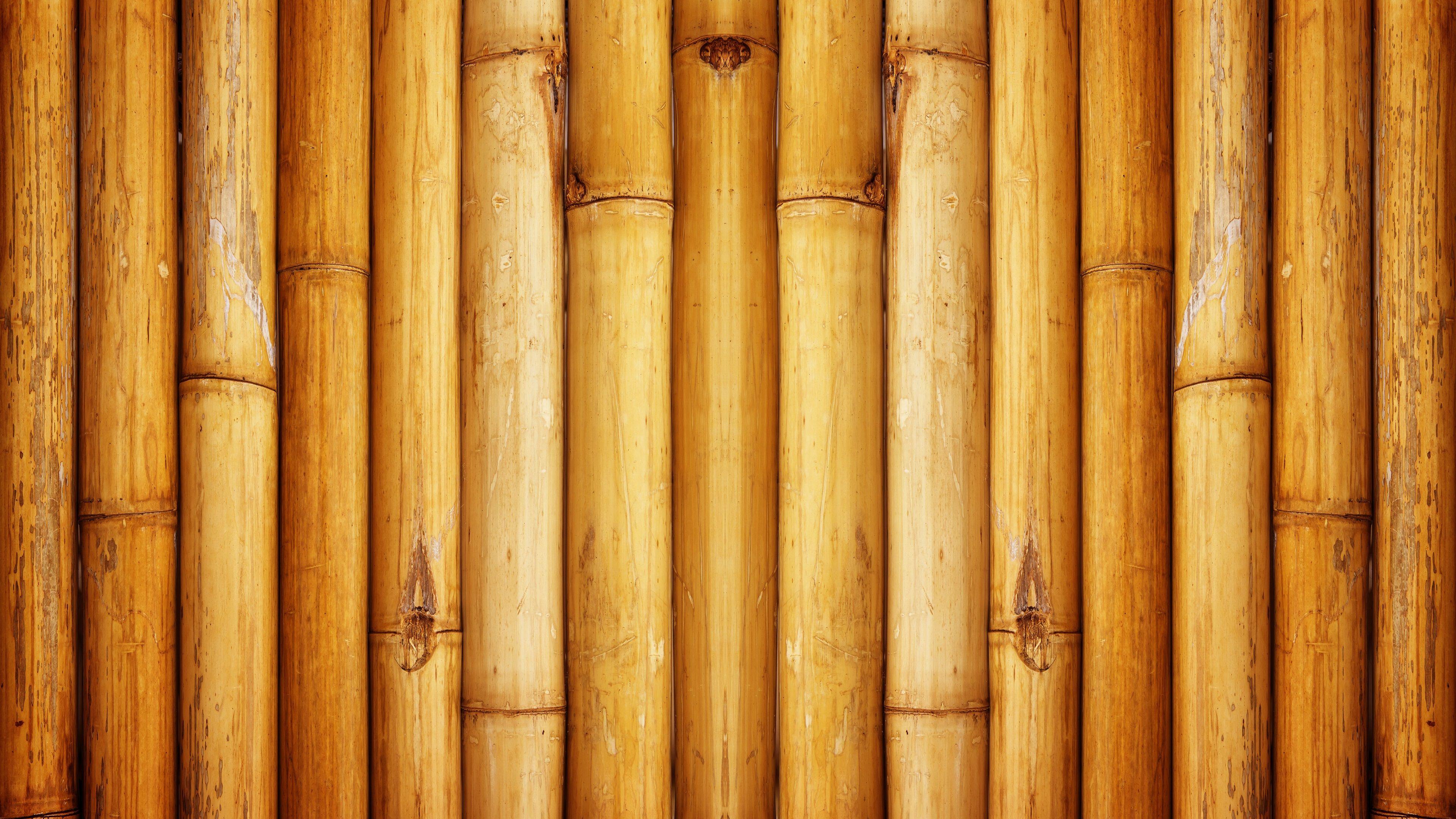 Bamboo 4K Wallpapers - Top Free Bamboo 4K Backgrounds - WallpaperAccess