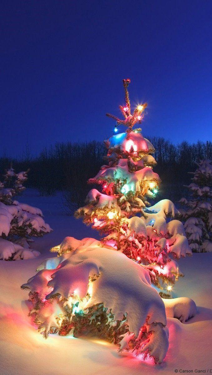 Christmas North Pole Wallpapers - Top Free Christmas North Pole ...