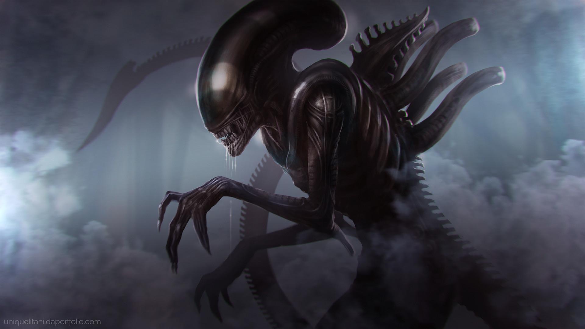 Cool Xenomorph Wallpapers - Top Free Cool Xenomorph Backgrounds ...