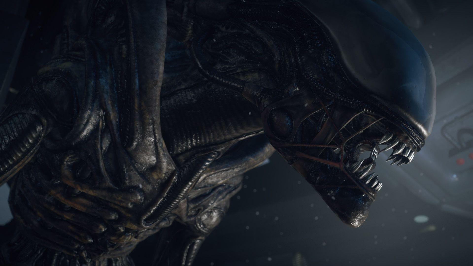Cool Xenomorph Wallpapers - Top Free Cool Xenomorph Backgrounds ...