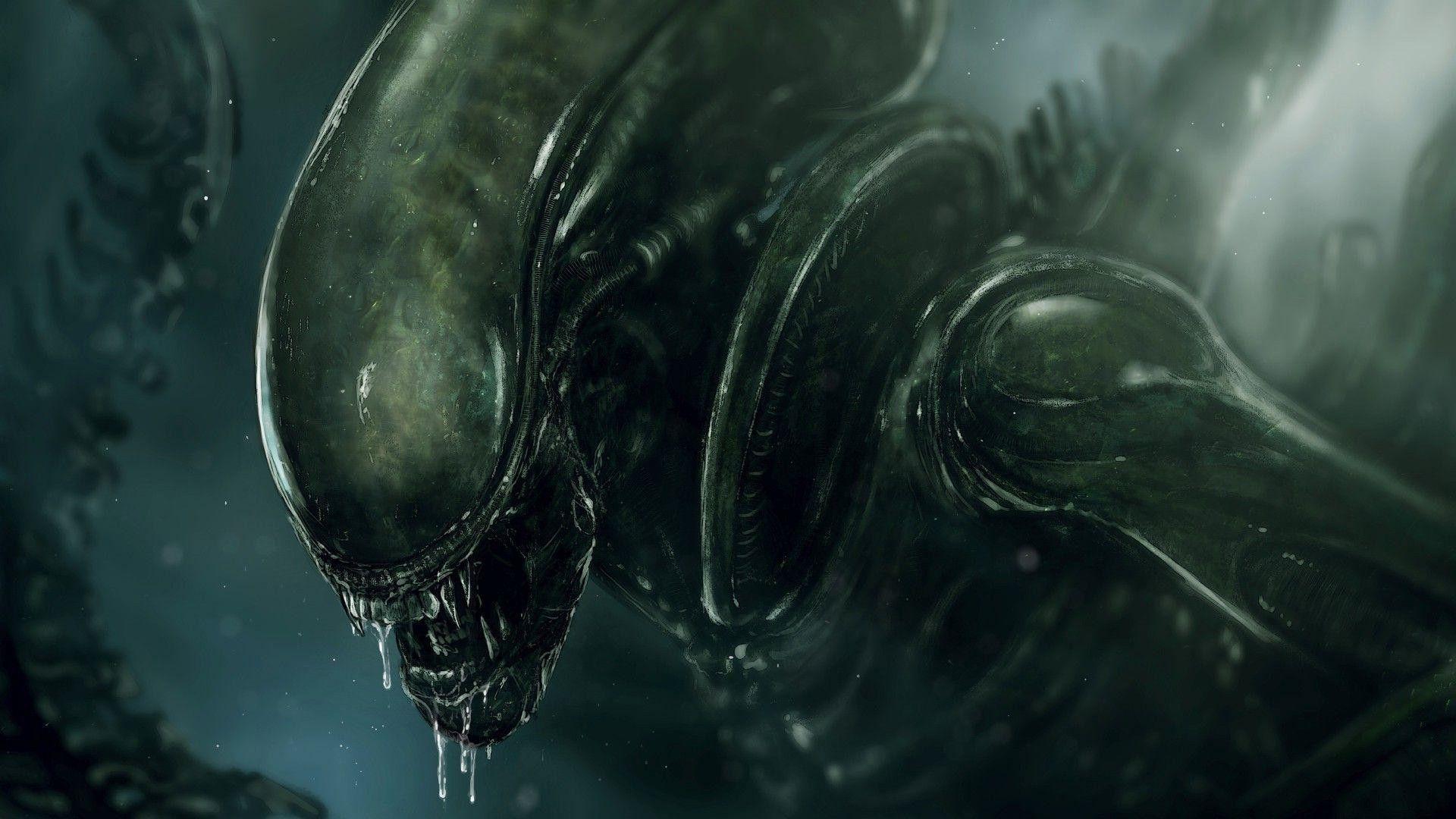 Cool Xenomorph Wallpapers - Top Free Cool Xenomorph Backgrounds ...