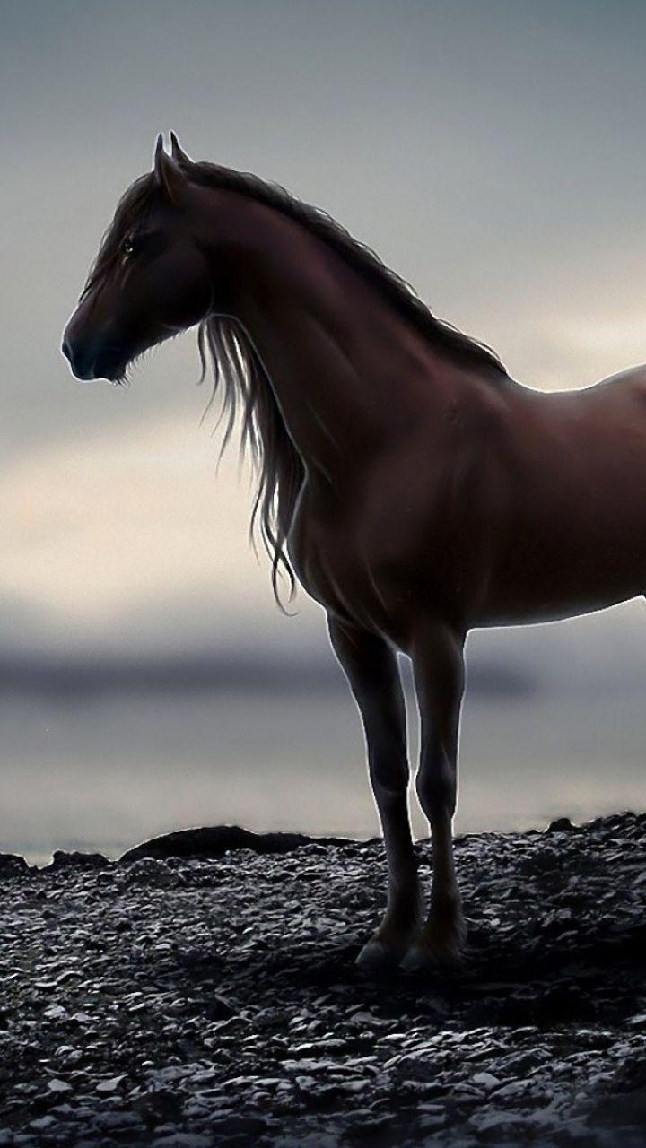 Horse Love Wallpapers - Top Free Horse Love Backgrounds - WallpaperAccess