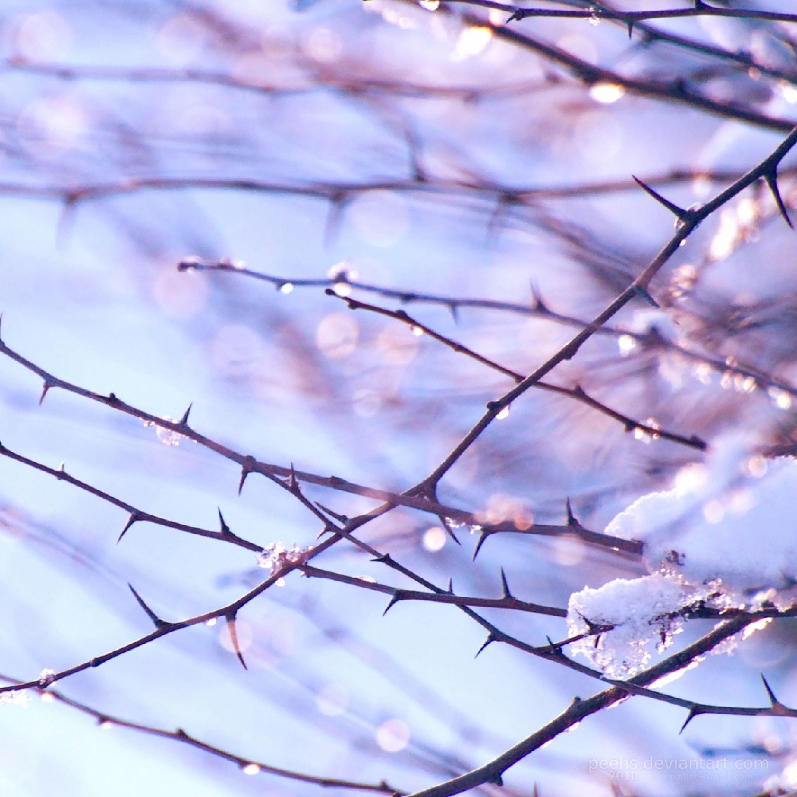 Pink iPad Pro Wallpapers - Top Free Pink iPad Pro Backgrounds ...