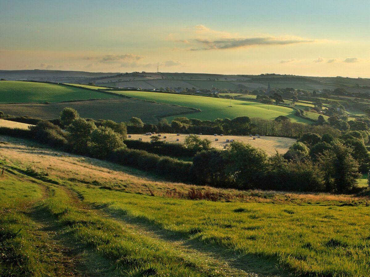 Pure Nature Wallpapers - Top Free Pure Nature Backgrounds - WallpaperAccess