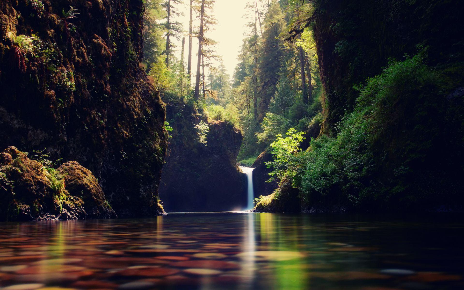 Pure Nature Wallpapers - Top Free Pure Nature Backgrounds - WallpaperAccess