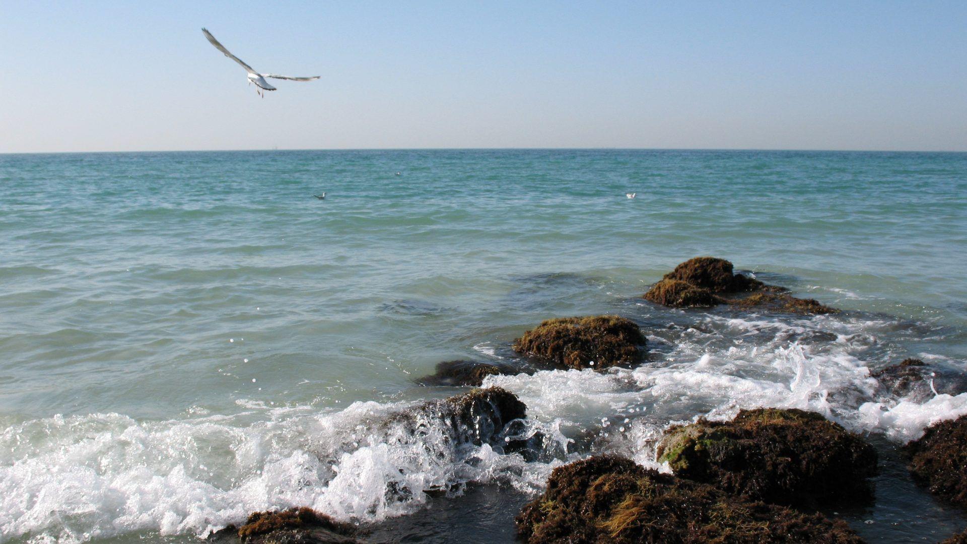 Persian Landscape Wallpapers - Top Free Persian Landscape Backgrounds ...