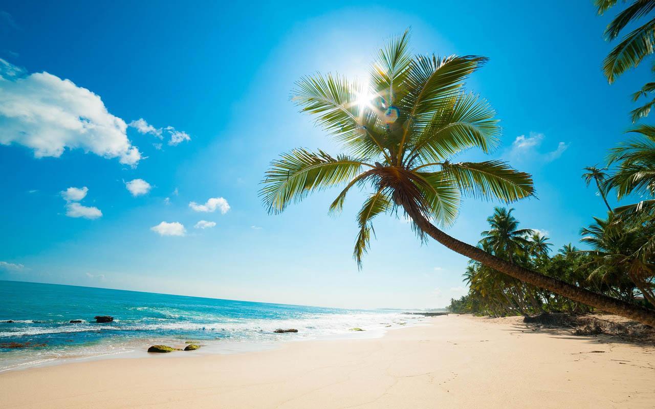 Sandy Beach Wallpapers - Top Free Sandy Beach Backgrounds - WallpaperAccess