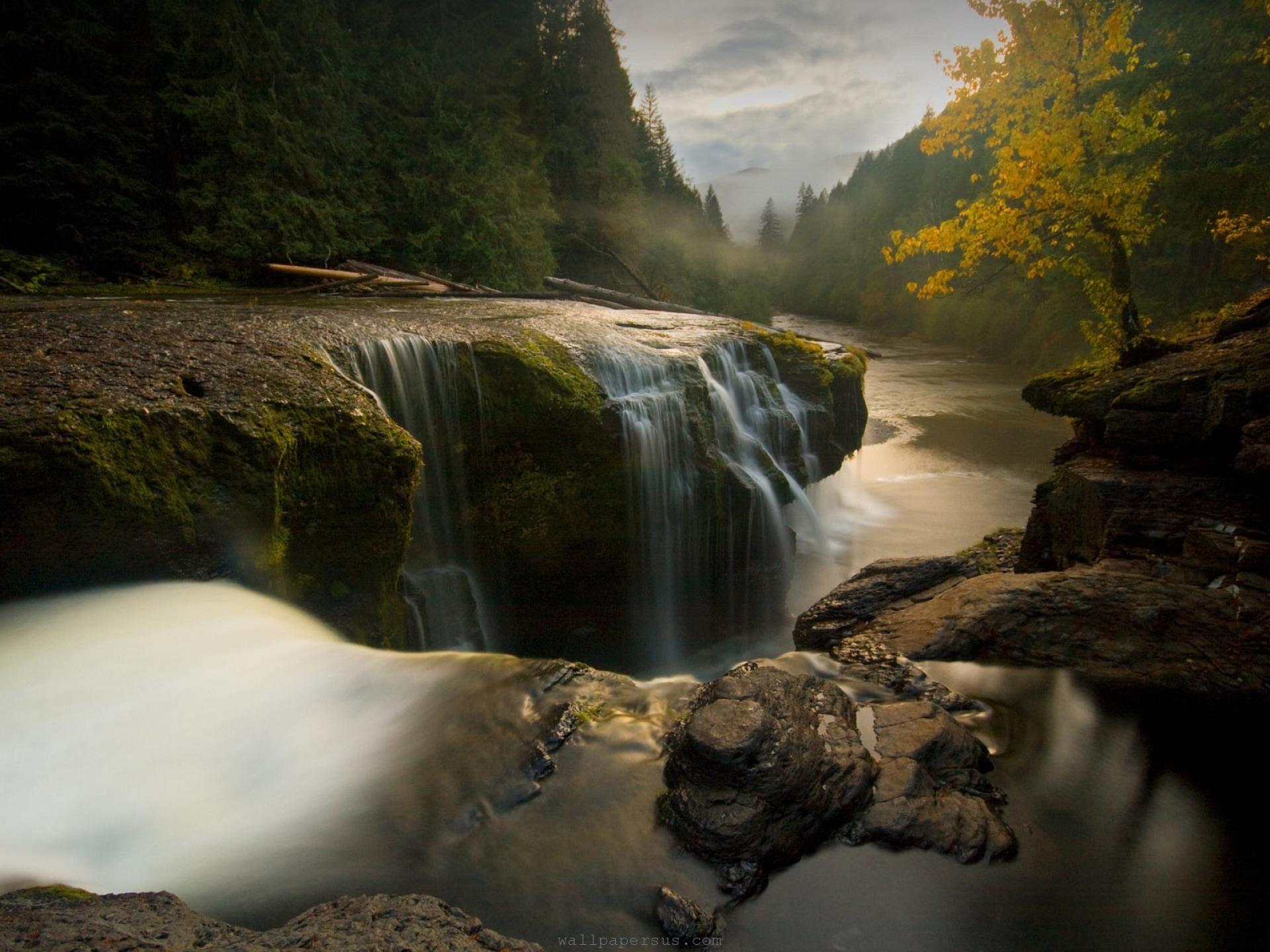 Wild Desktop Wallpapers - Top Free Wild Desktop Backgrounds ...