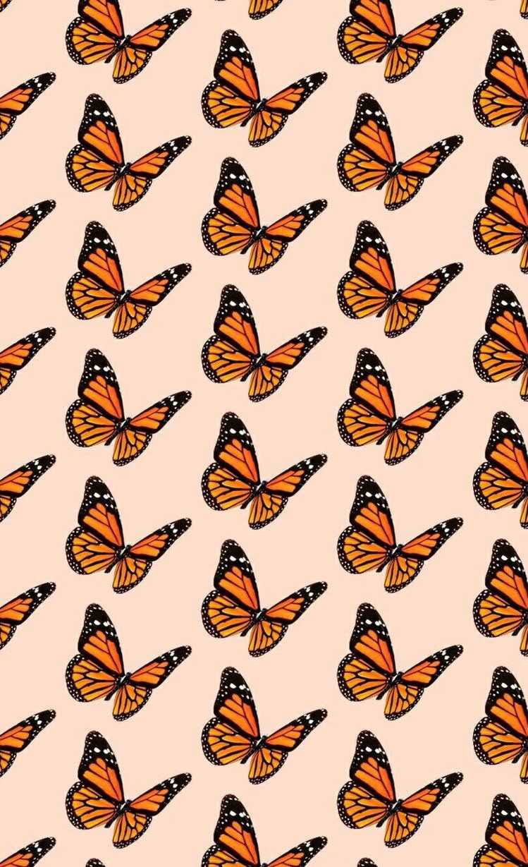 Cool VSCO Wallpapers - Top Free Cool VSCO Backgrounds - WallpaperAccess