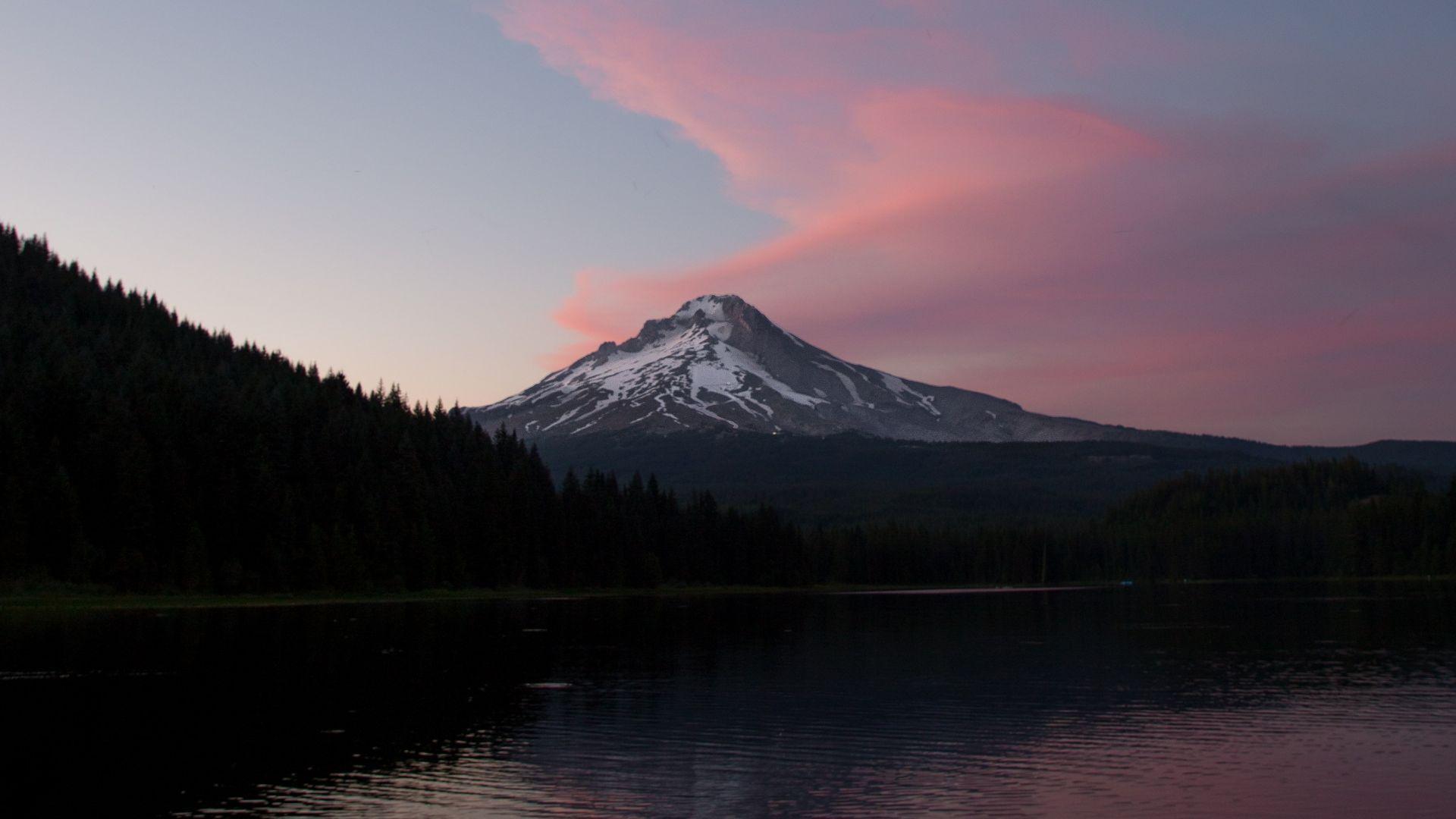 Clam Wallpapers - Top Free Clam Backgrounds - WallpaperAccess