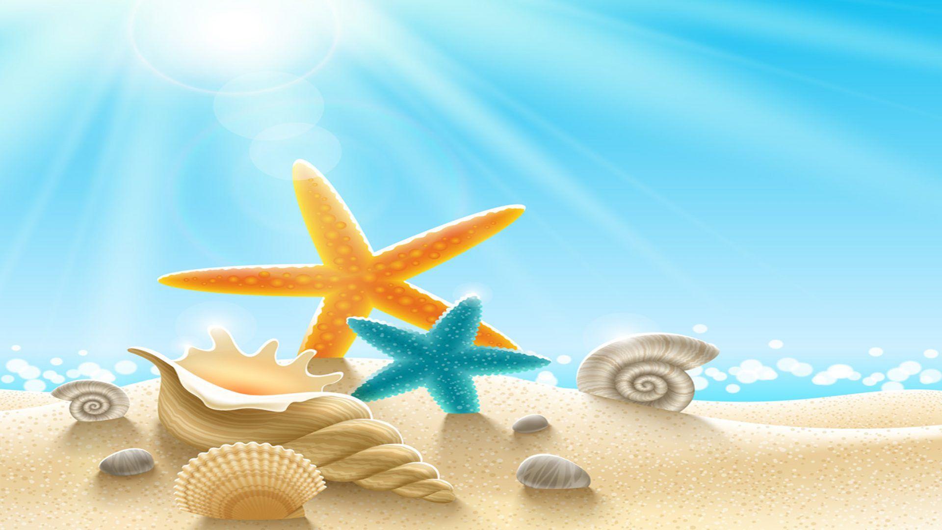 Clam Wallpapers - Top Free Clam Backgrounds - WallpaperAccess