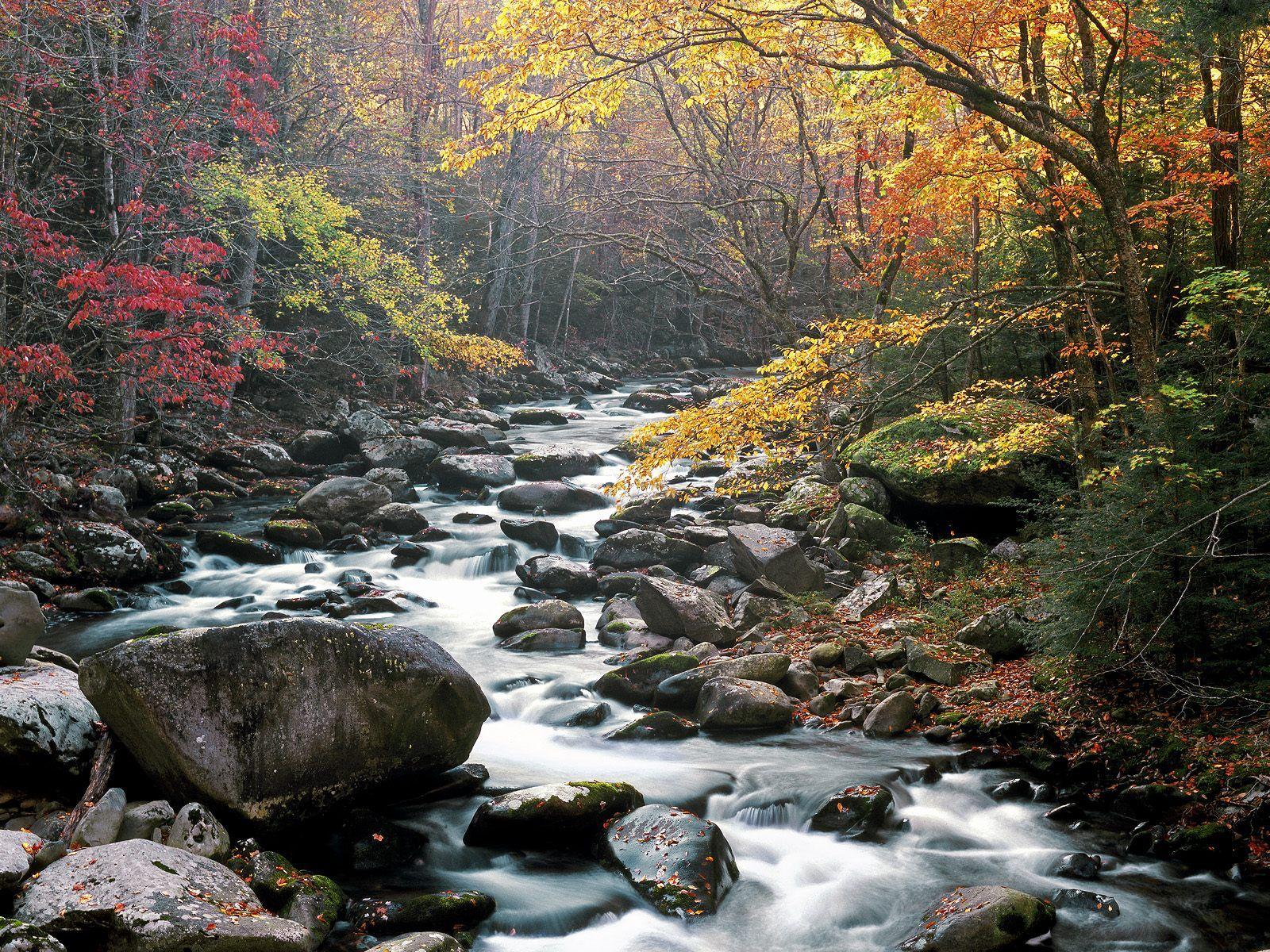 Great Smoky Mountains National Park Wallpapers - Top Free Great Smoky ...