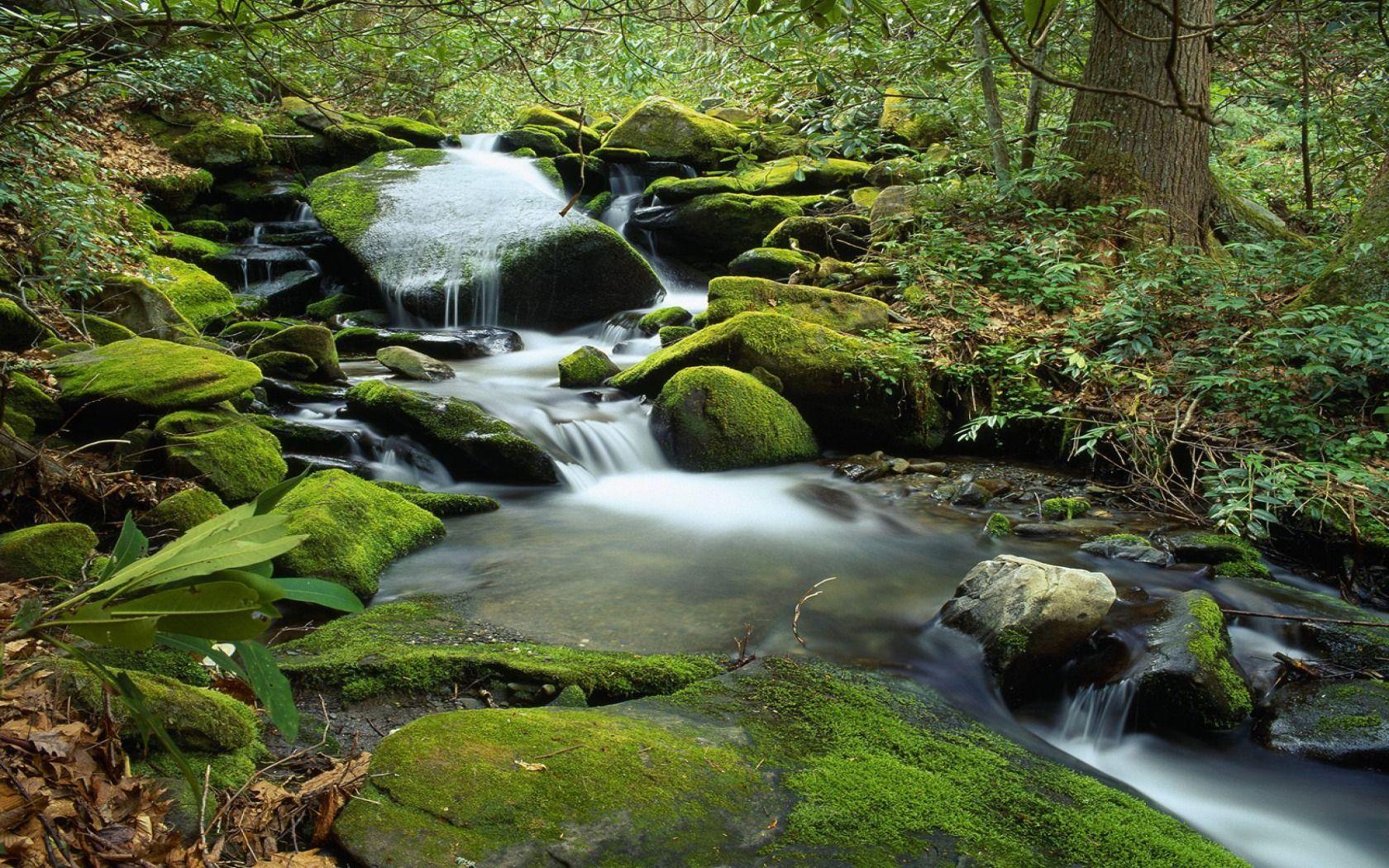 Great Smoky Mountains National Park Wallpapers - Top Free Great Smoky ...
