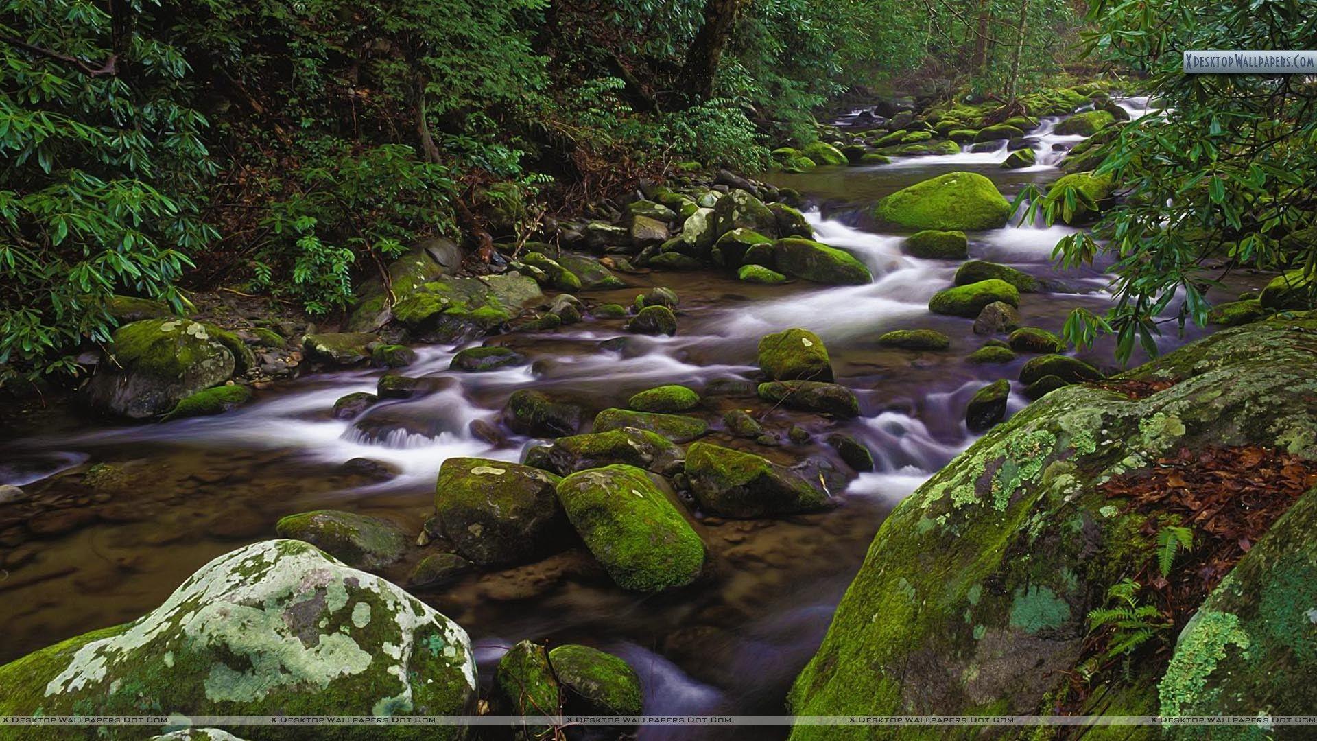 Great Smoky Mountains National Park Wallpapers - Top Free Great Smoky ...