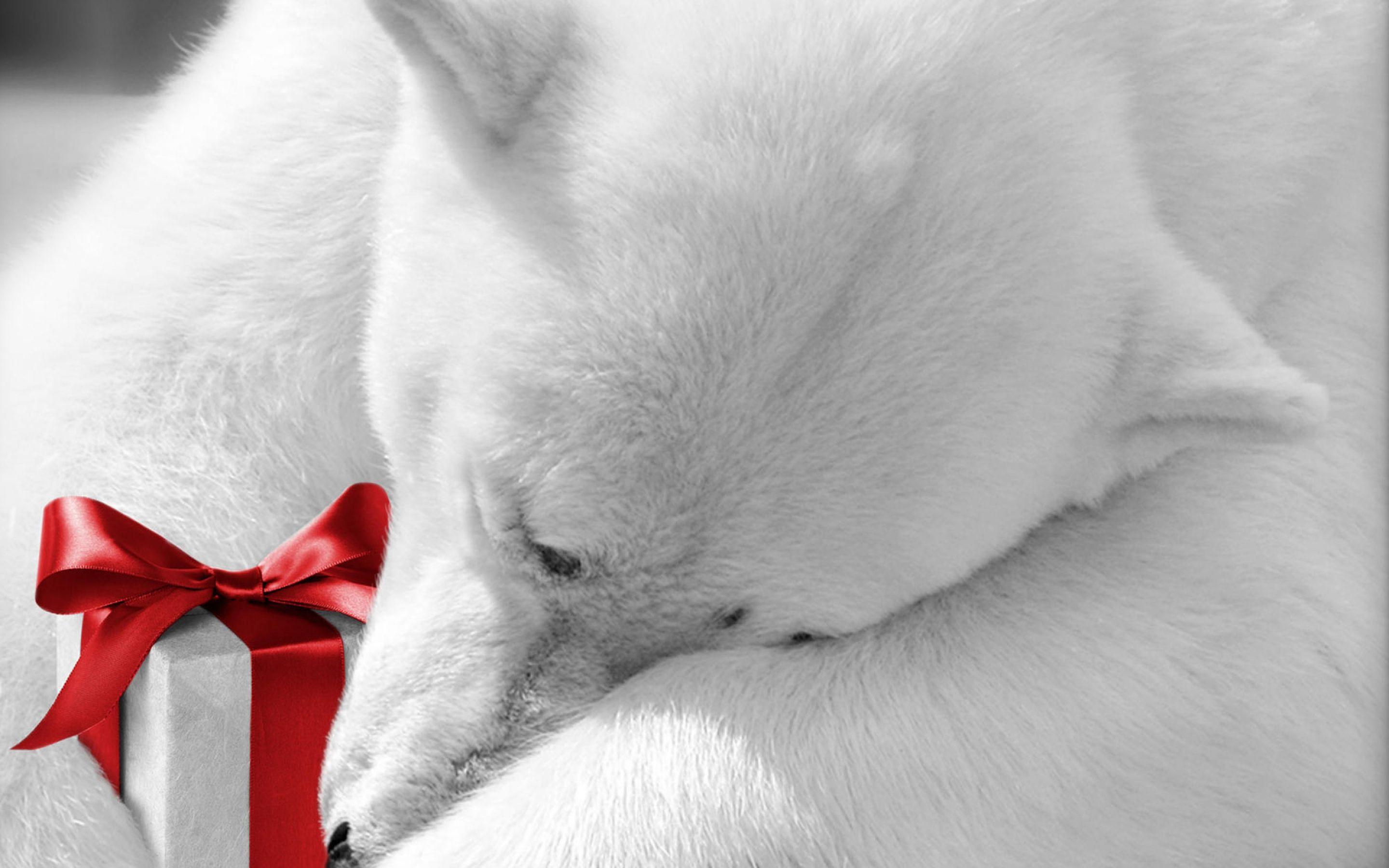 Bear Christmas Wallpapers - Top Free Bear Christmas Backgrounds ...