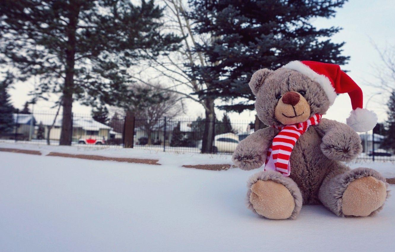 Bear Christmas Wallpapers - Top Free Bear Christmas Backgrounds ...