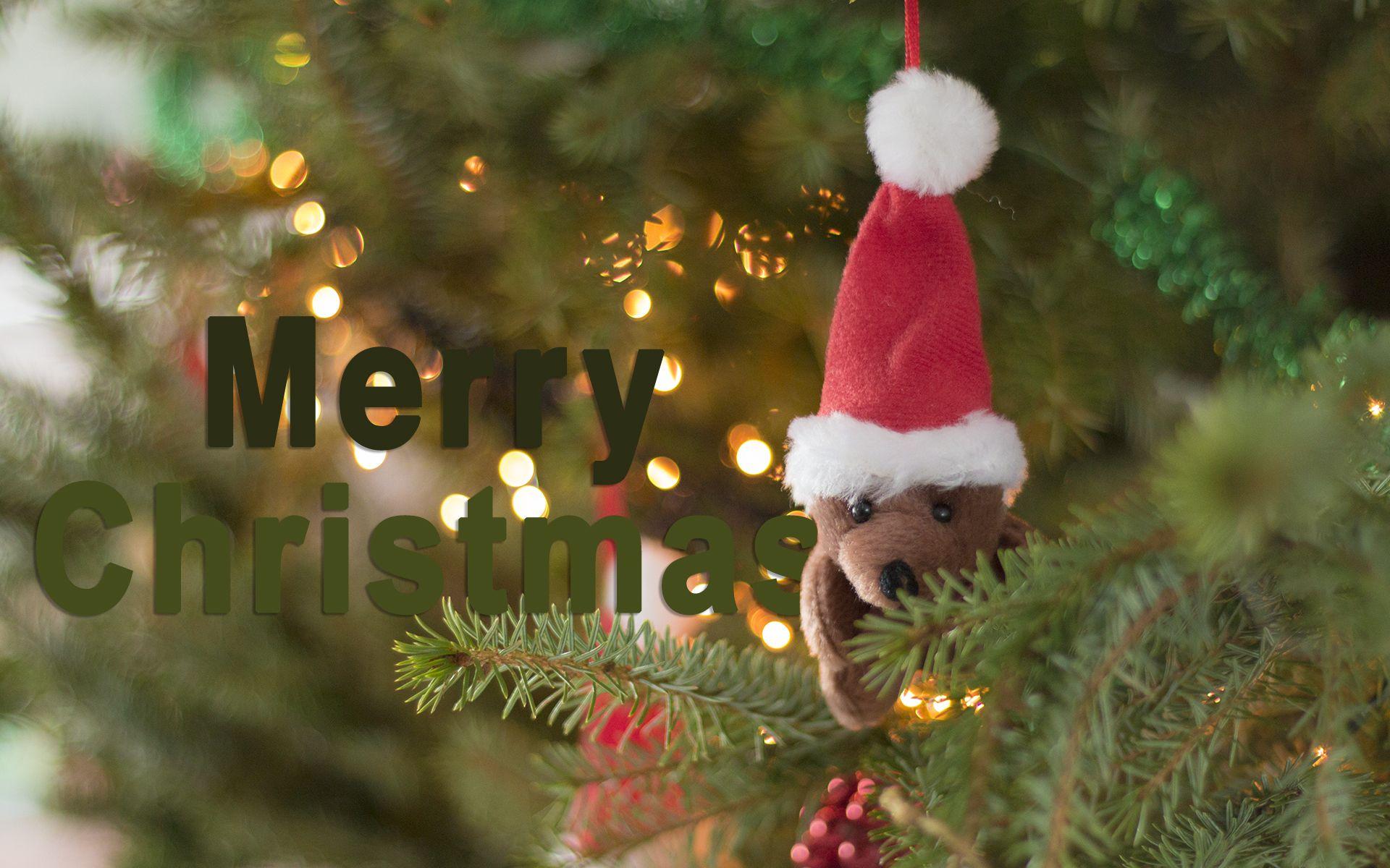 Bear Christmas Wallpapers - Top Free Bear Christmas Backgrounds ...