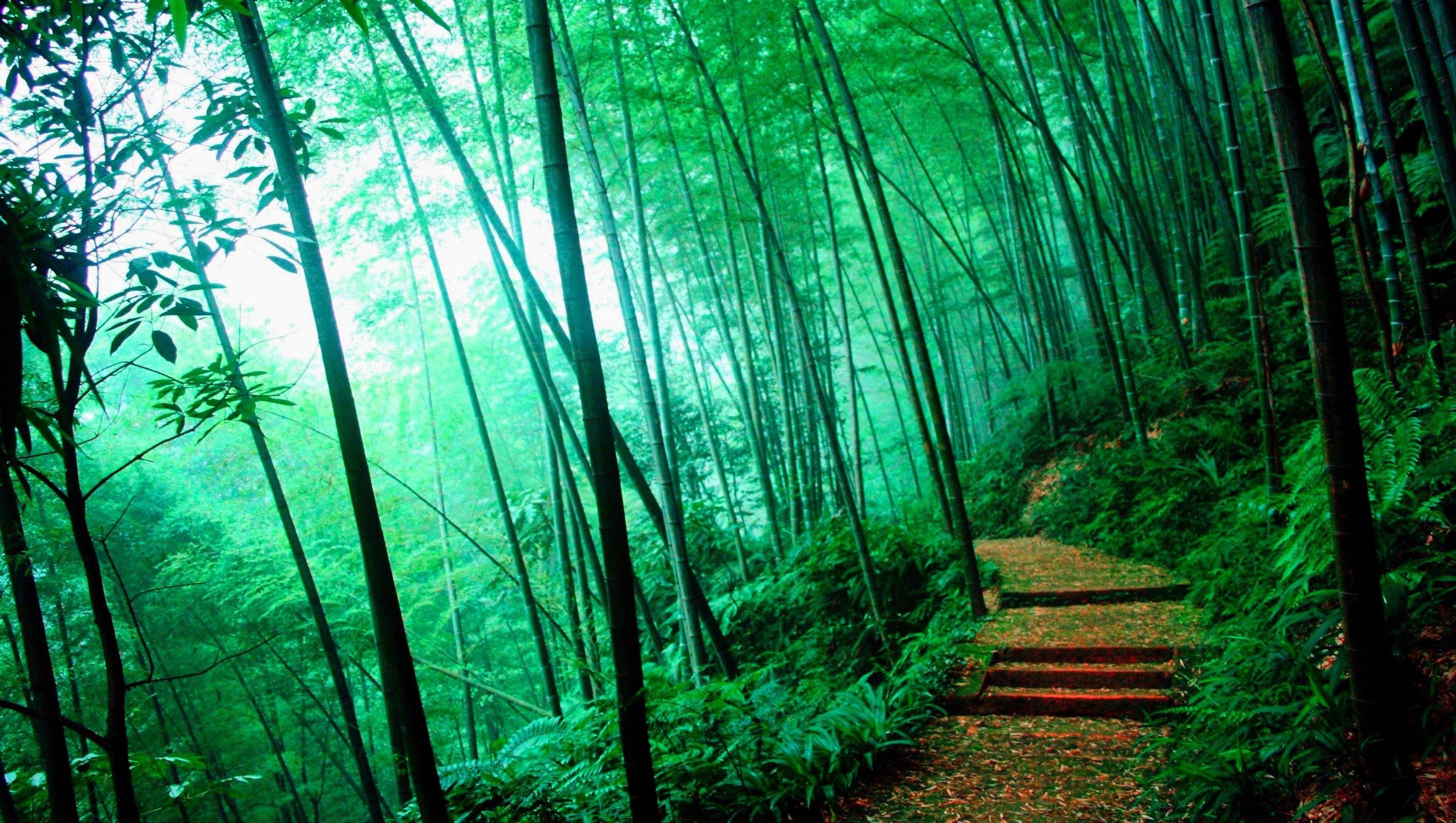 Peaceful Landscape Wallpapers - Top Free Peaceful Landscape Backgrounds ...