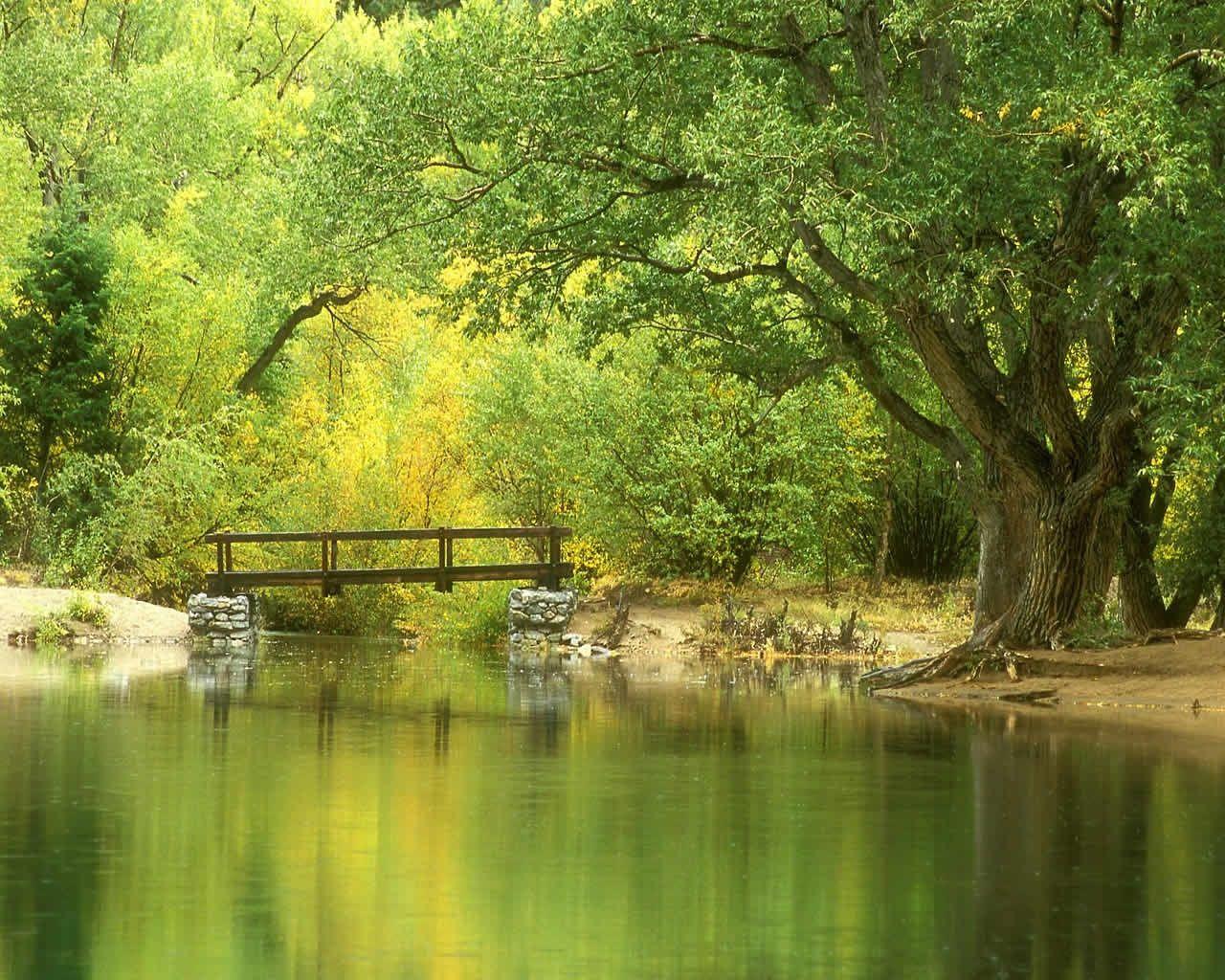 Peaceful Landscape Wallpapers - Top Free Peaceful Landscape Backgrounds ...