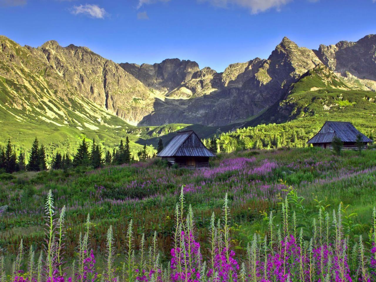 Tatra National Park Poland HD Wallpapers - Top Free Tatra National Park ...