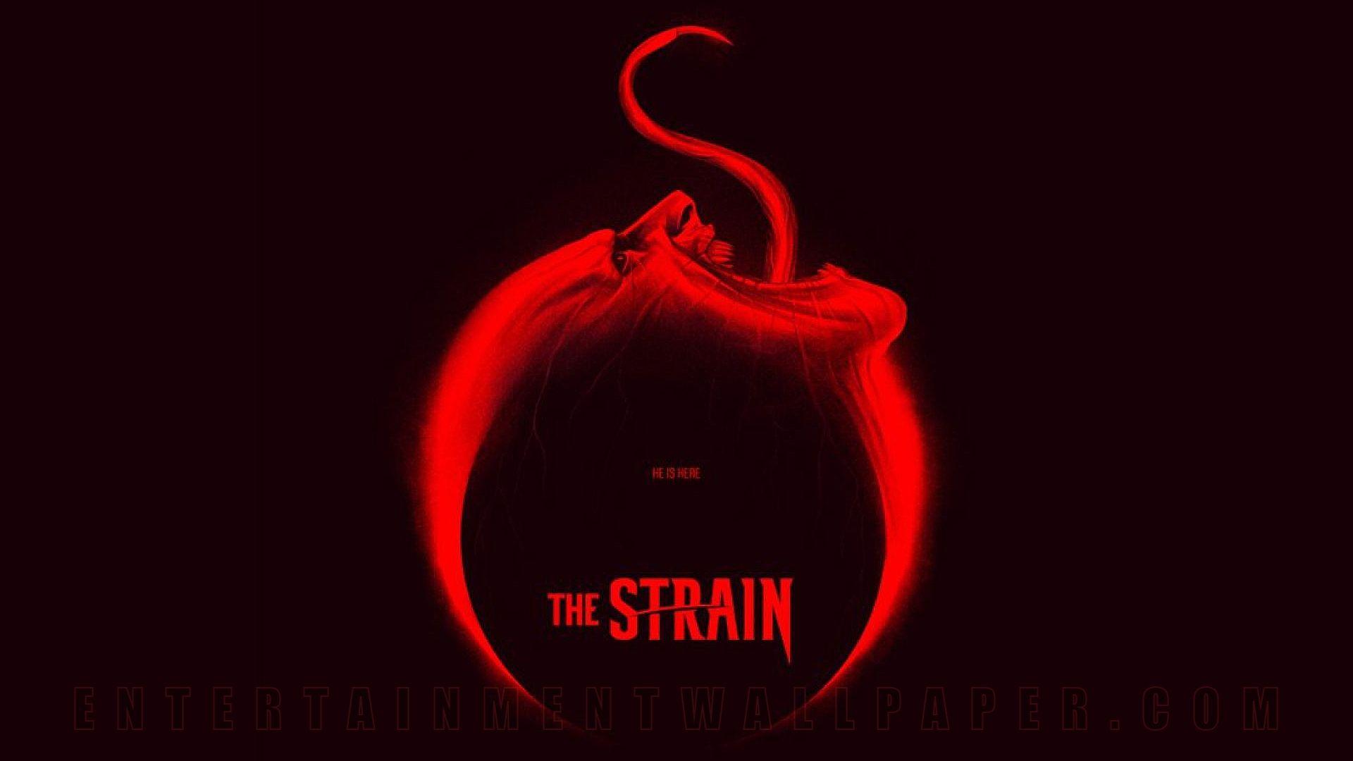 The Strain Wallpapers - Top Free The Strain Backgrounds - WallpaperAccess