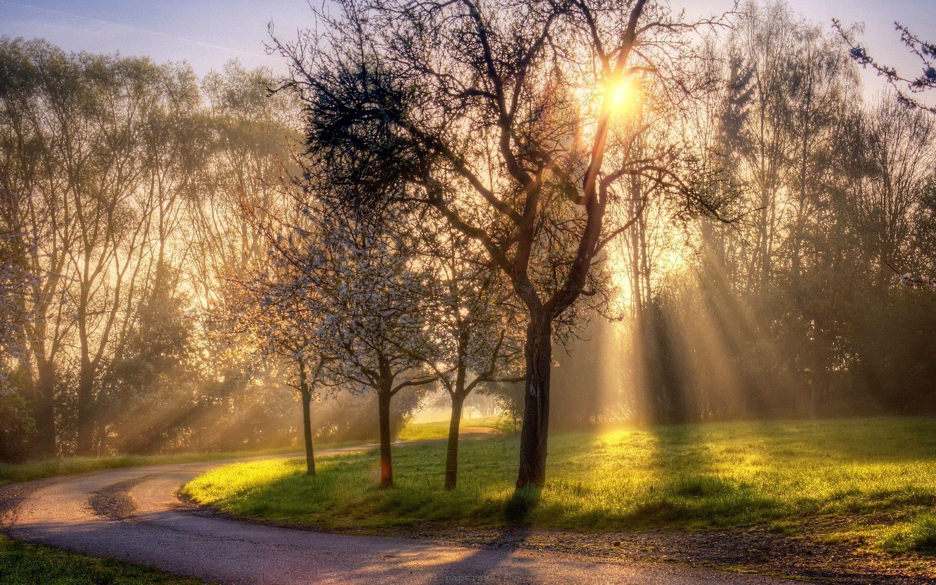 Spring Weather Wallpapers Top Free Spring Weather Backgrounds Wallpaperaccess
