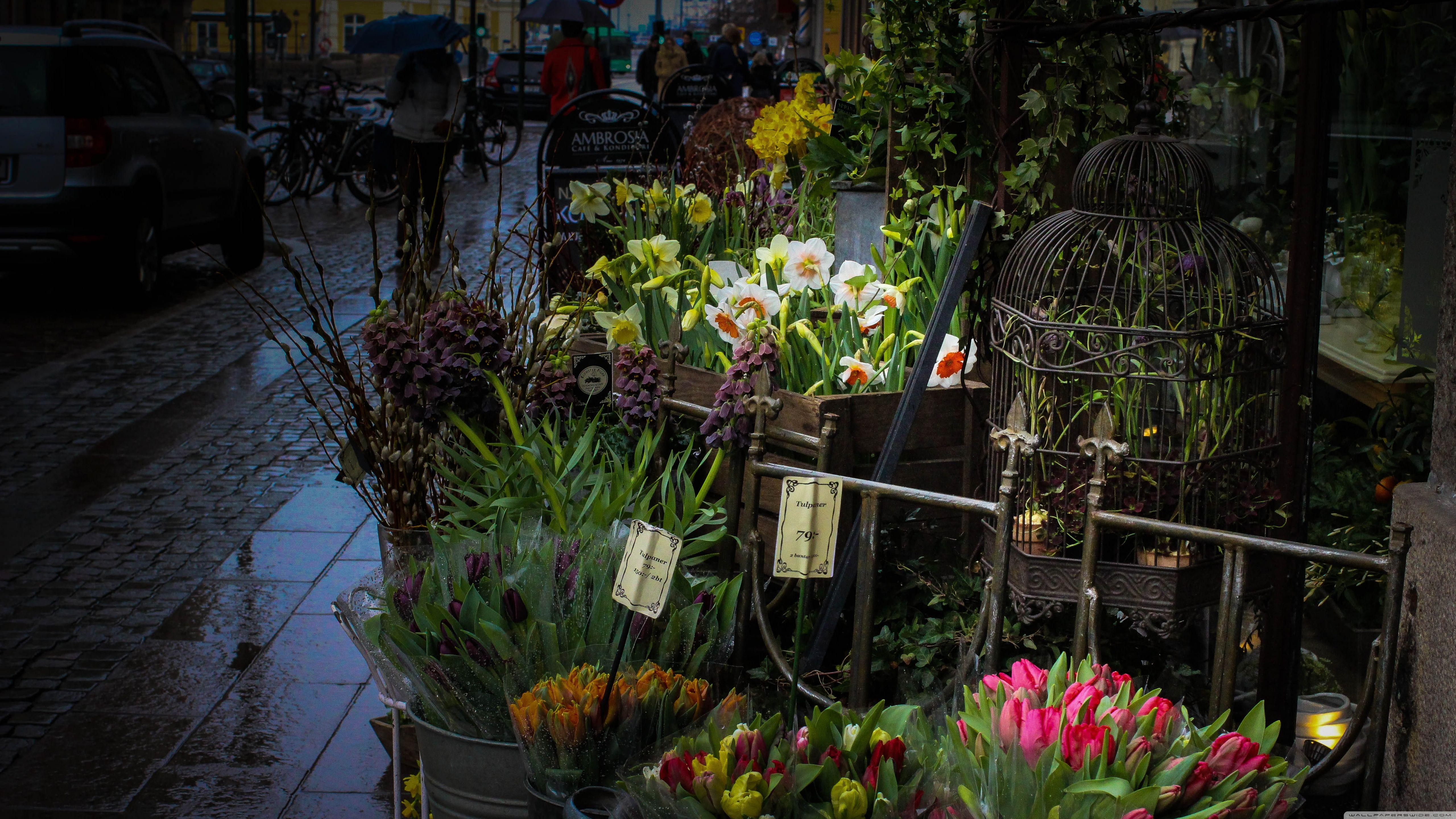 Spring Weather Wallpapers - Top Free Spring Weather Backgrounds ...