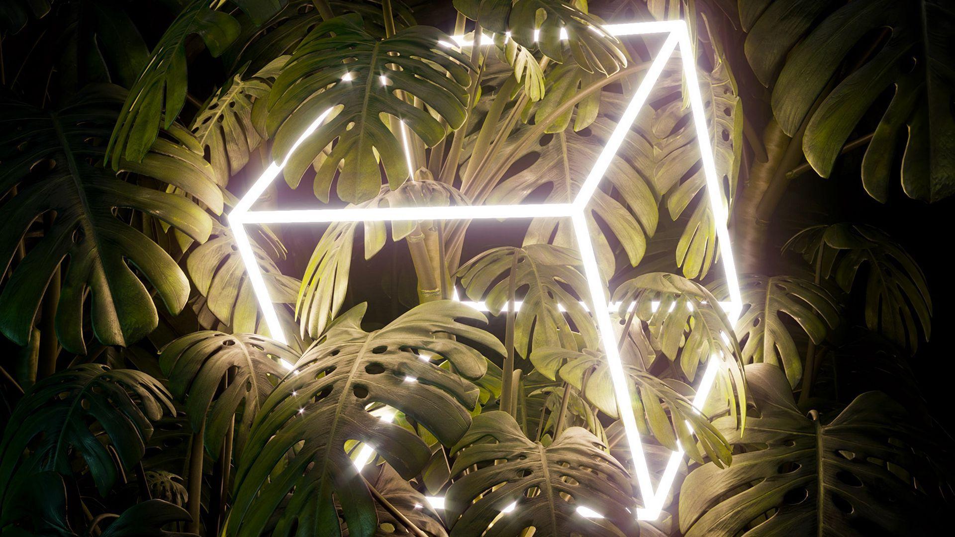 Neon Plants Wallpapers - Top Free Neon Plants Backgrounds - WallpaperAccess