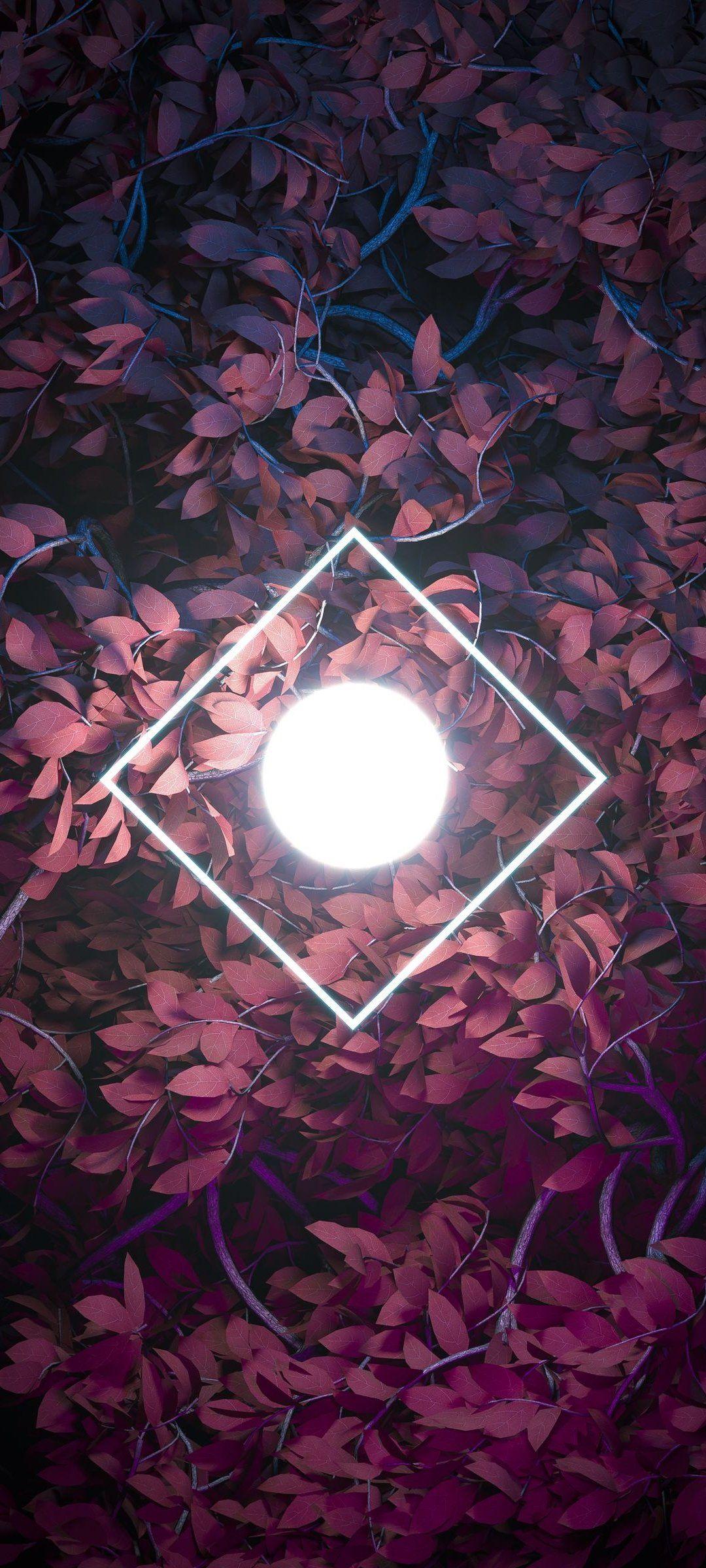 Neon Plants Wallpapers - Top Free Neon Plants Backgrounds - WallpaperAccess