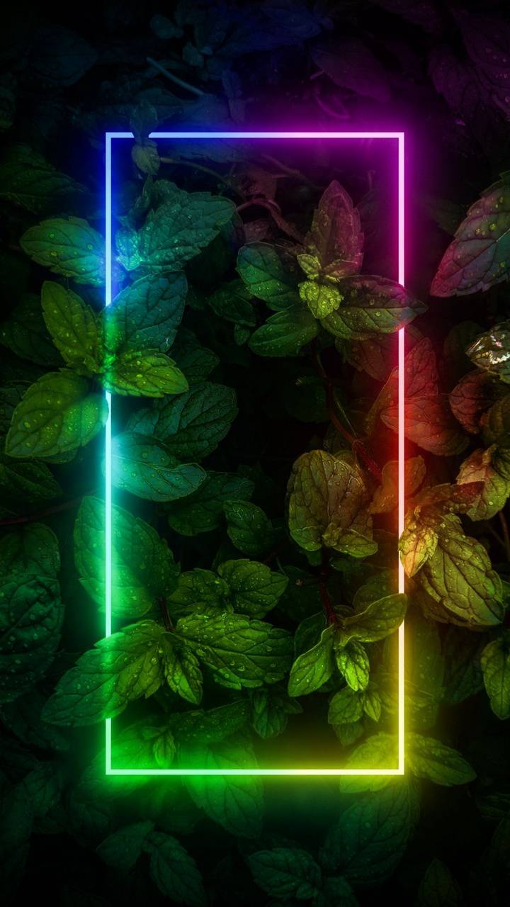 Neon Plants Wallpapers - Top Free Neon Plants Backgrounds - WallpaperAccess