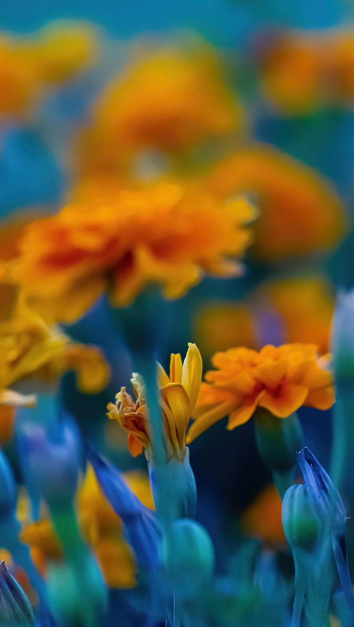 Flowers Vertical Wallpapers - Top Free Flowers Vertical Backgrounds ...