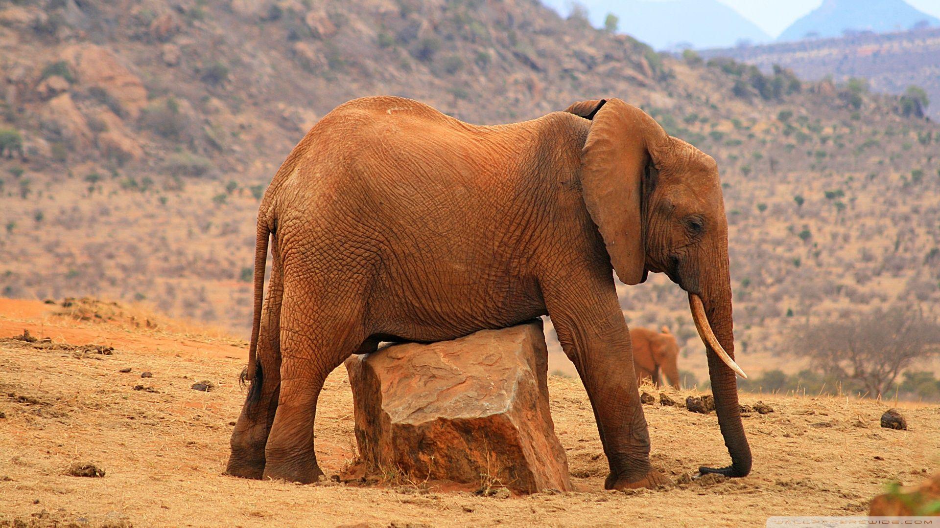 Grounded Wallpapers - Top Free Grounded Backgrounds - WallpaperAccess