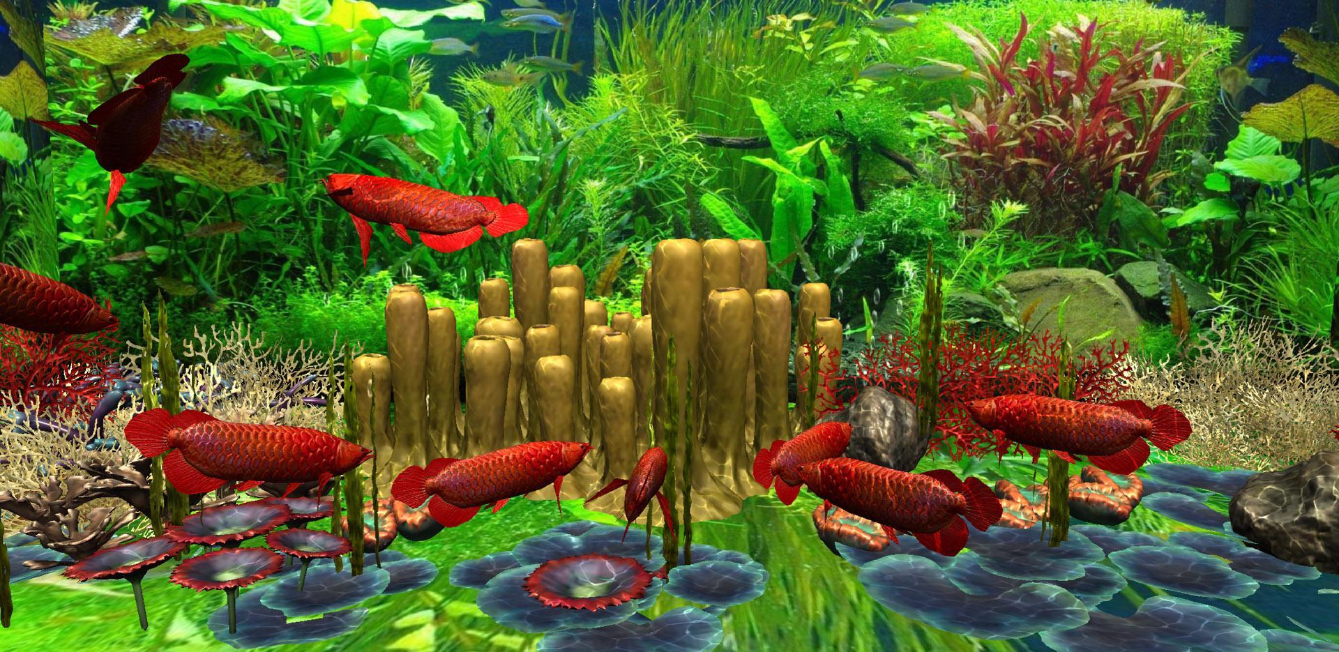 Arwana Wallpapers - Top Free Arwana Backgrounds - WallpaperAccess